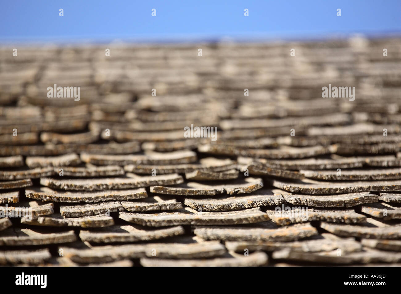 Shingles on an old farm building in scenic Saskatchewan Canada Stock ...