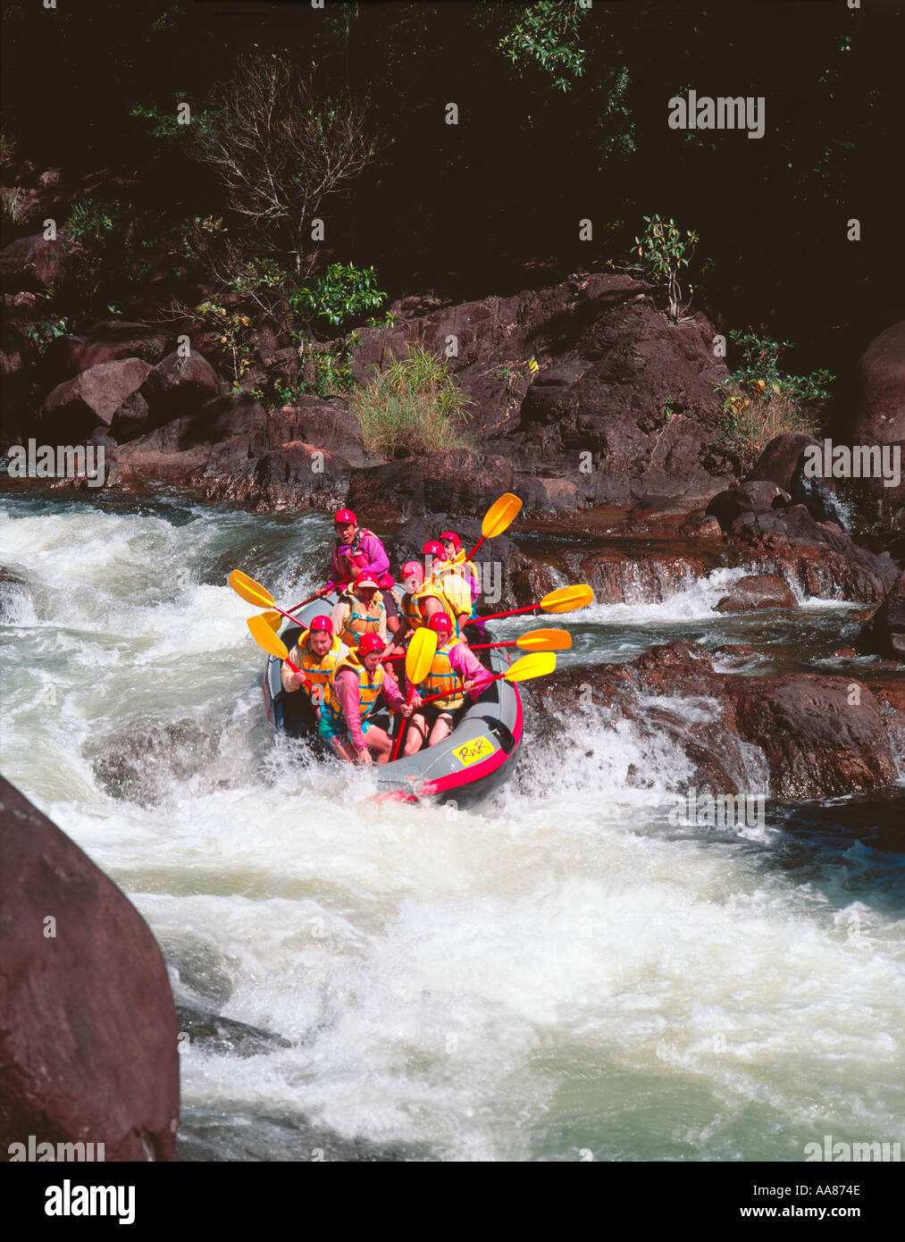White Water Rafting on the tropical rainforest Tully river North ...