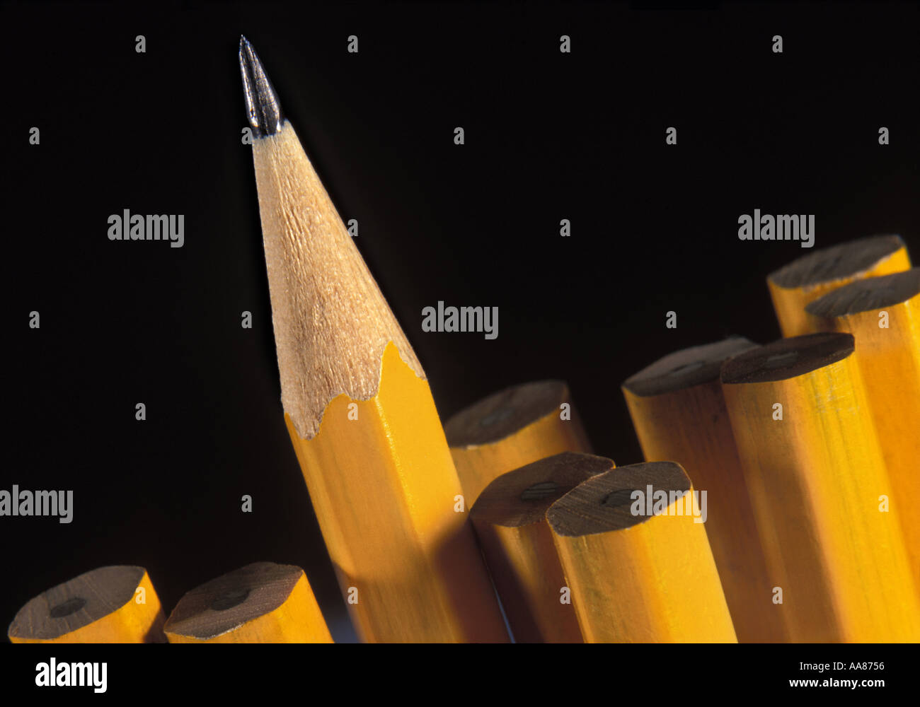 outstanding sharp pencil Stock Photo - Alamy