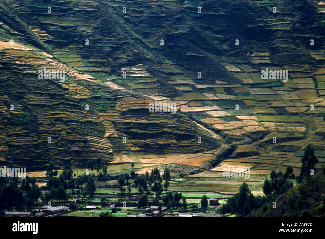 Inca Terraces and Aquaducts Sacred Valley Peru Stock Photo - Alamy