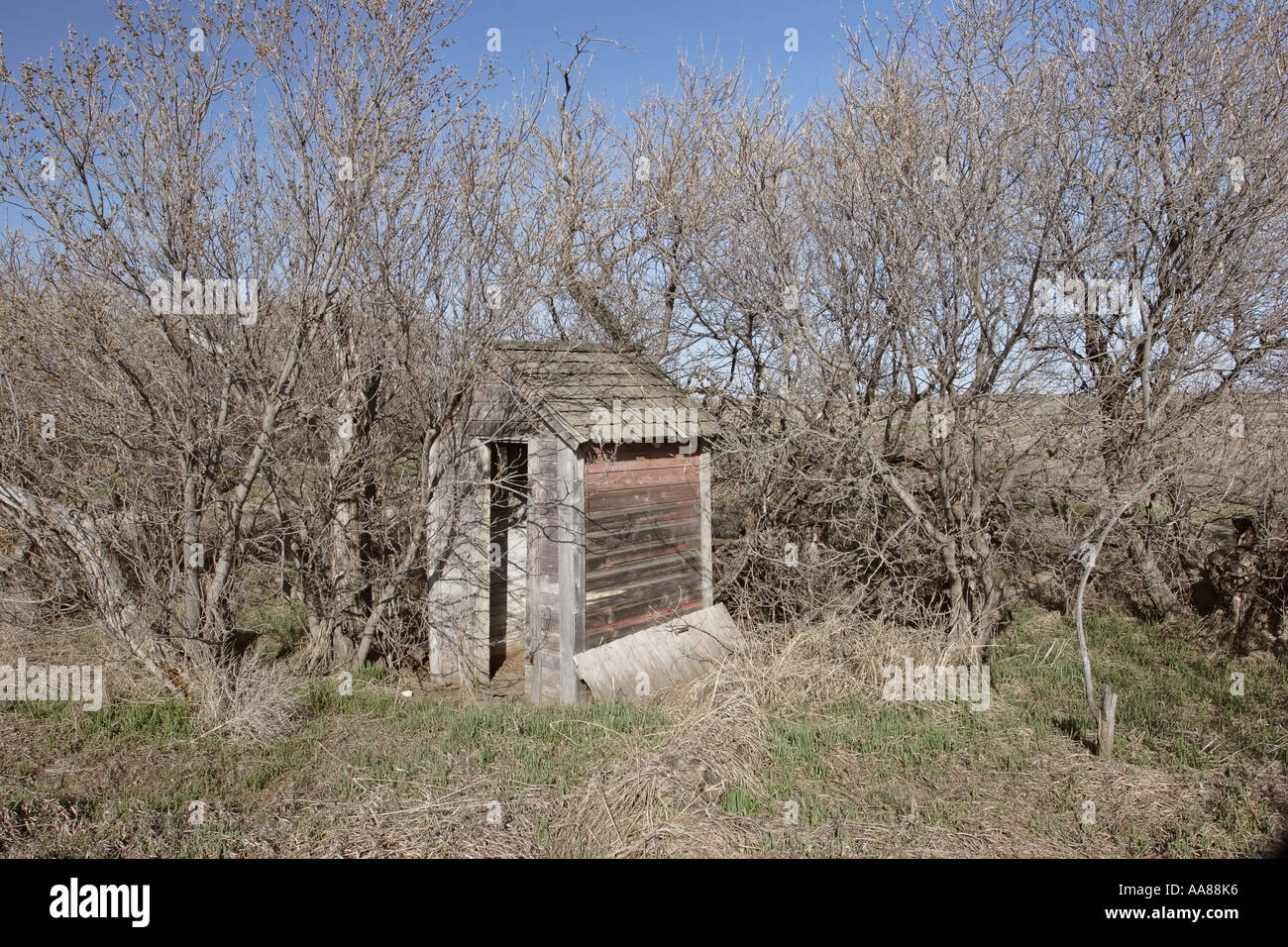 Old outhouse hidden in hi-res stock photography and images - Alamy