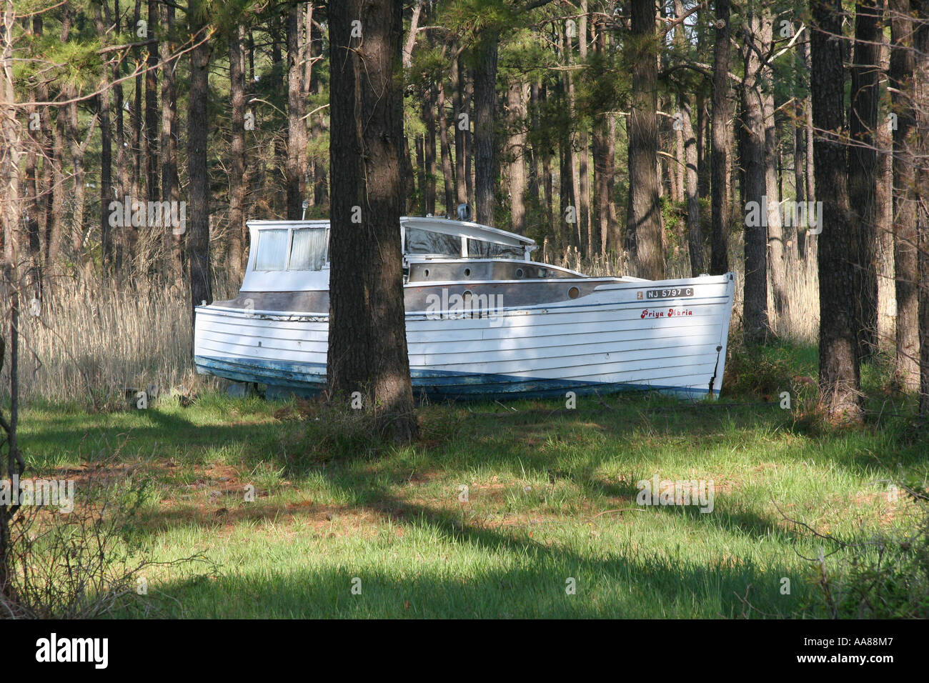 Priya maria hi-res stock photography and images - Alamy