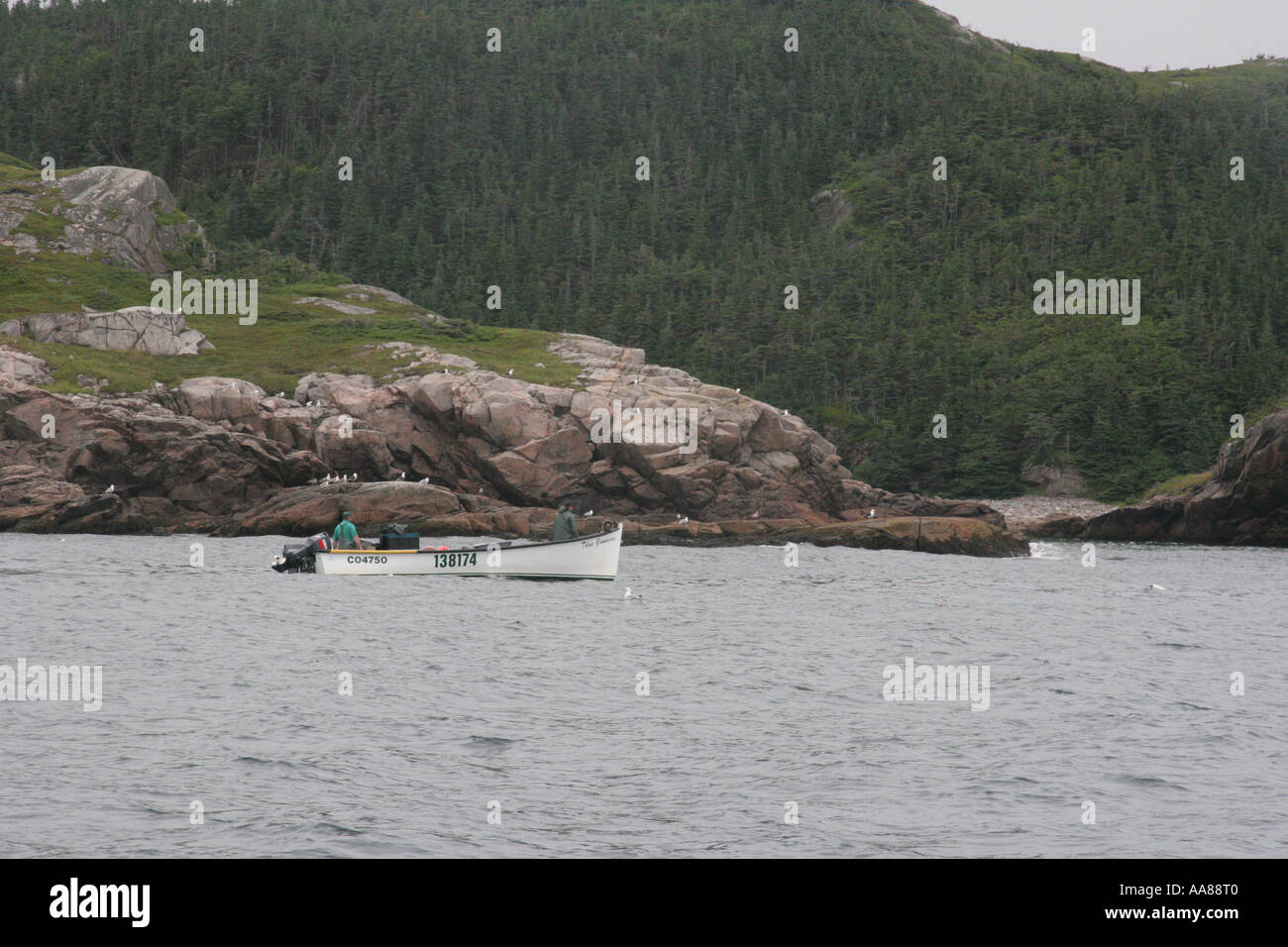Newfoundland Fishing Boat - Three Grandsons Stock Photo - Alamy