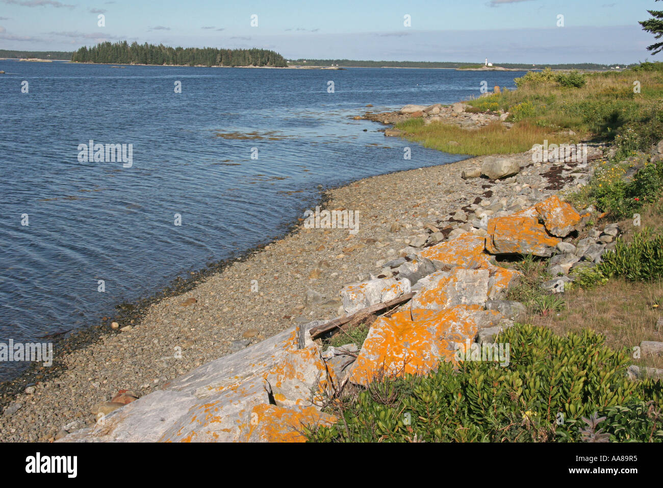 Shore Front at Nova Scotia Stock Photo - Alamy