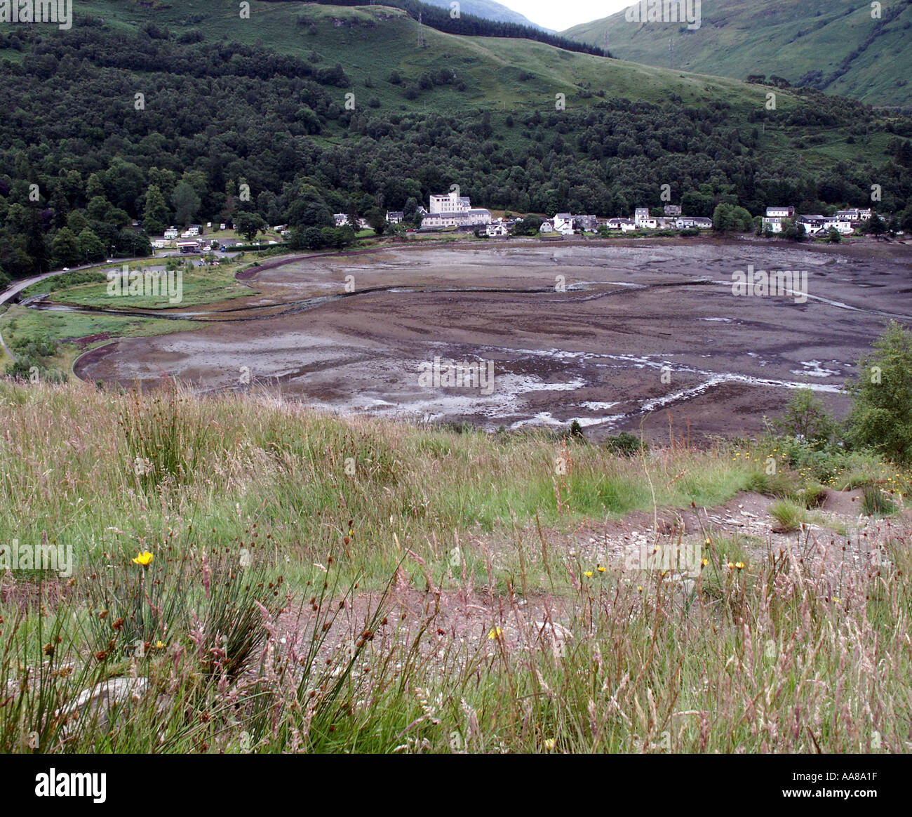 Arrochar beach hi-res stock photography and images - Alamy
