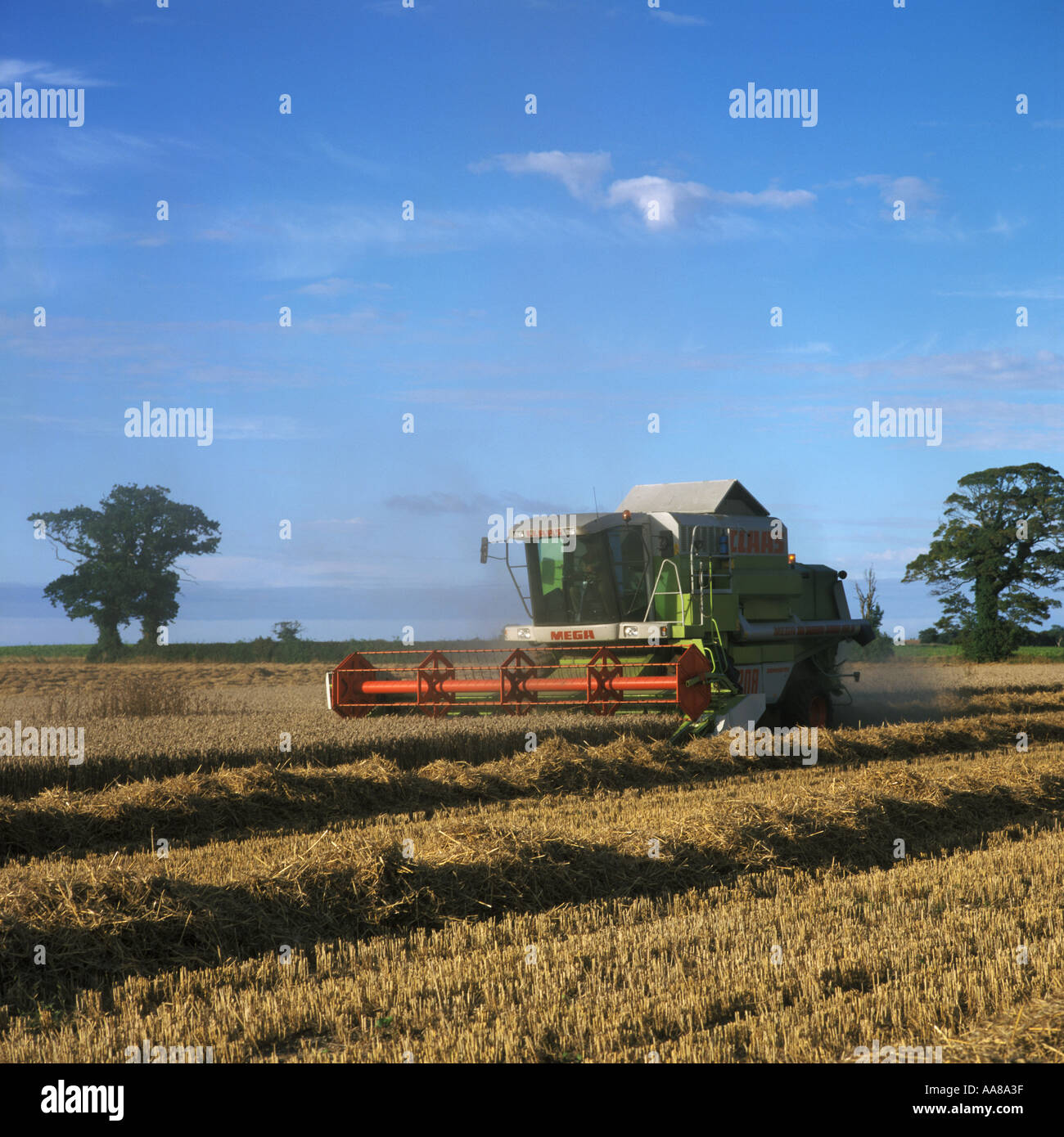 Harvesting in Norfolk England UK Stock Photo - Alamy