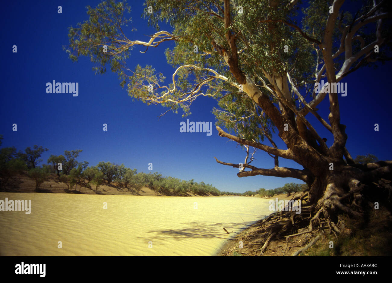 Cooper Creek Western queensland australia Stock Photo - Alamy