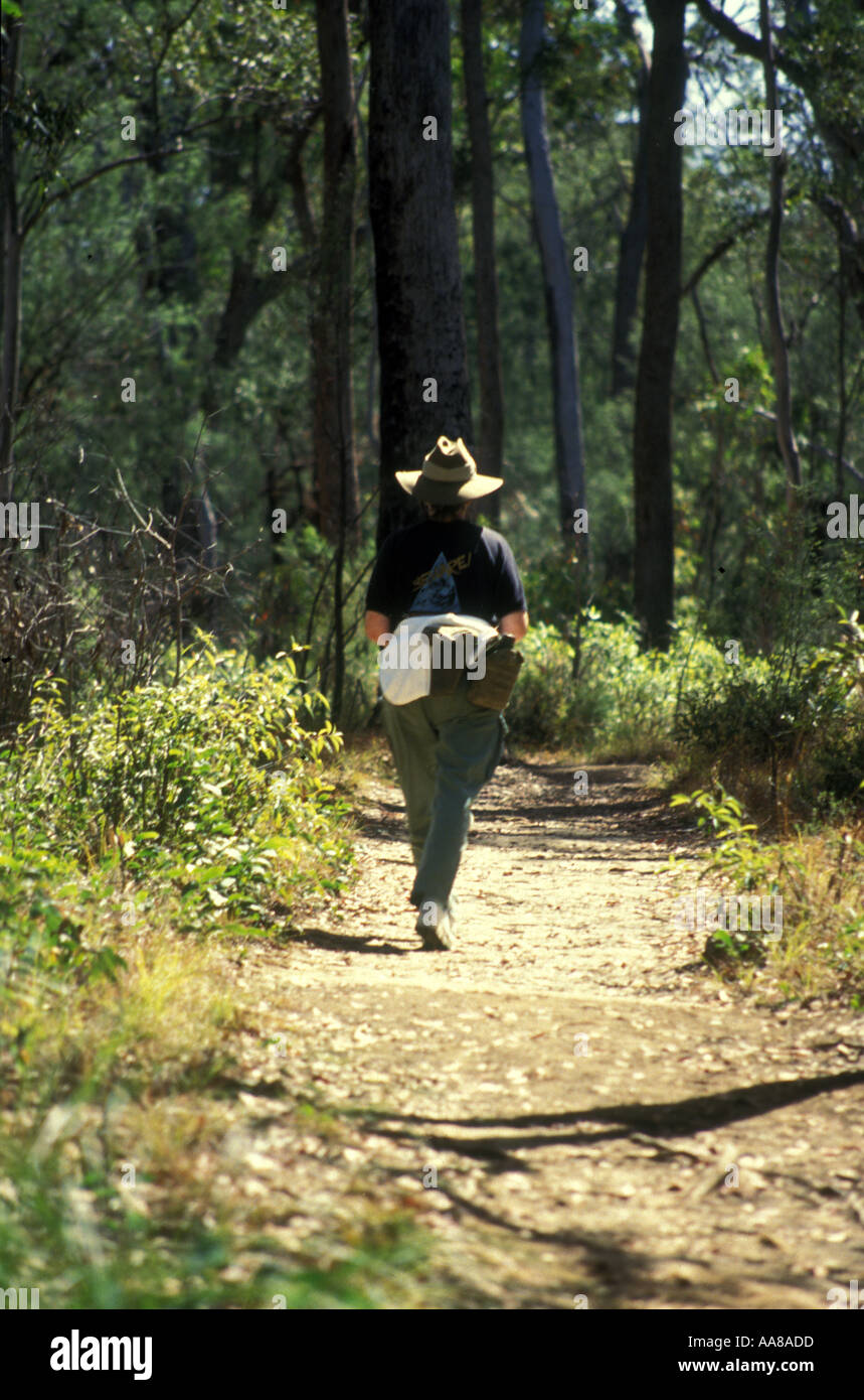 Blackdown forest trail hi-res stock photography and images - Alamy