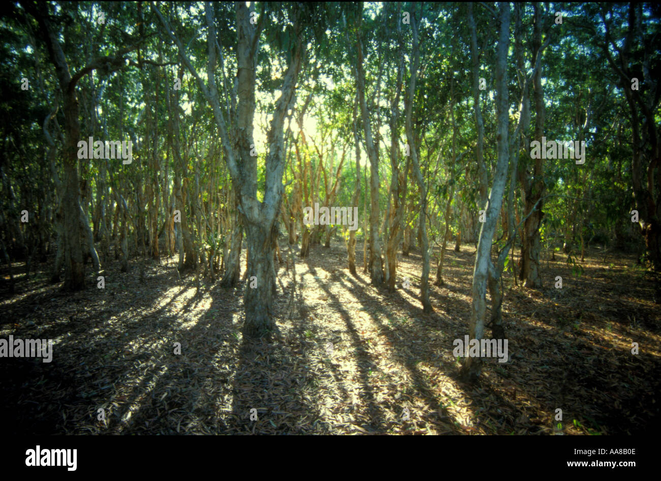 Australian capture hi-res stock photography and images - Alamy