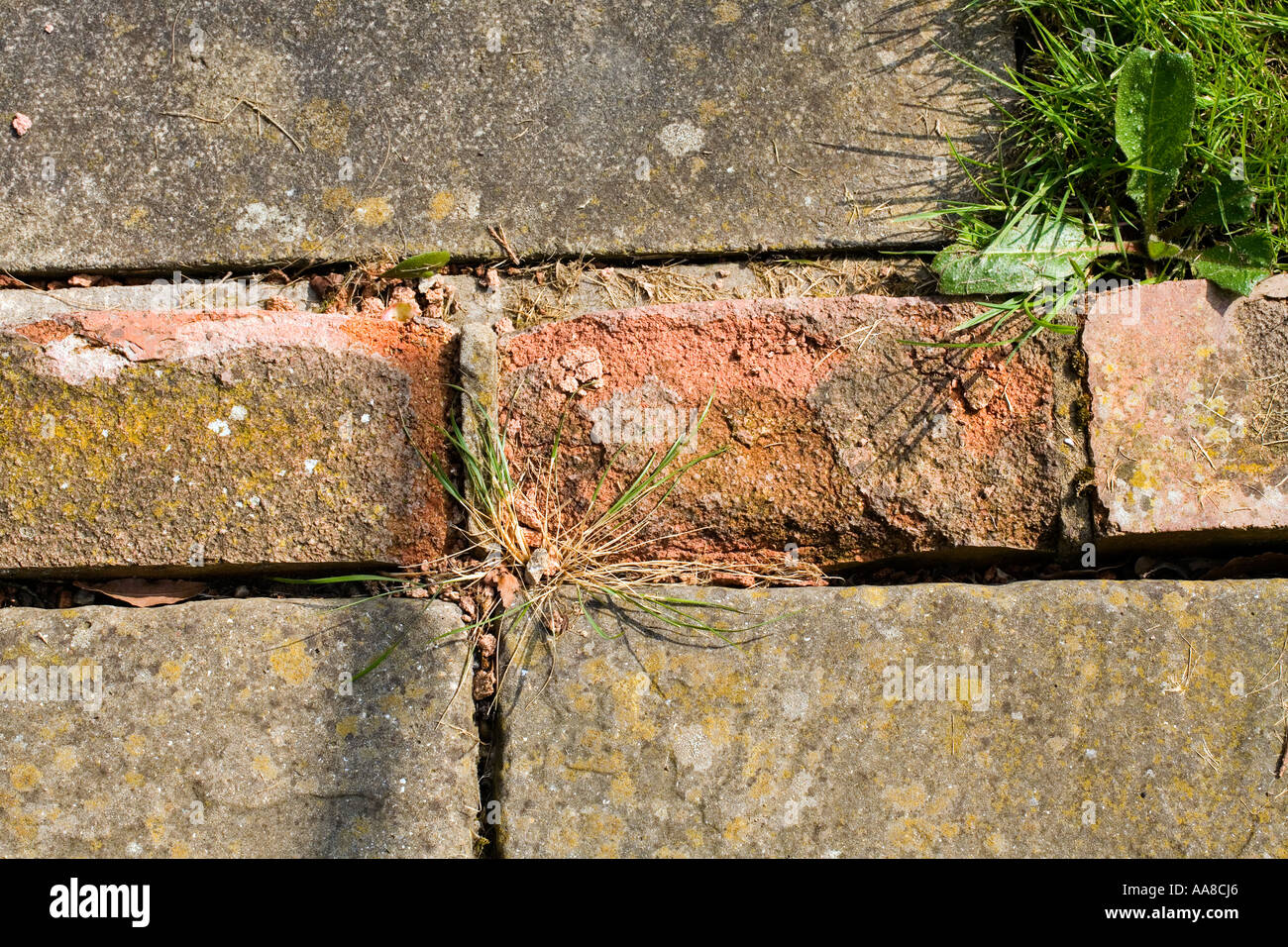 Frost damage on brick Stock Photo - Alamy