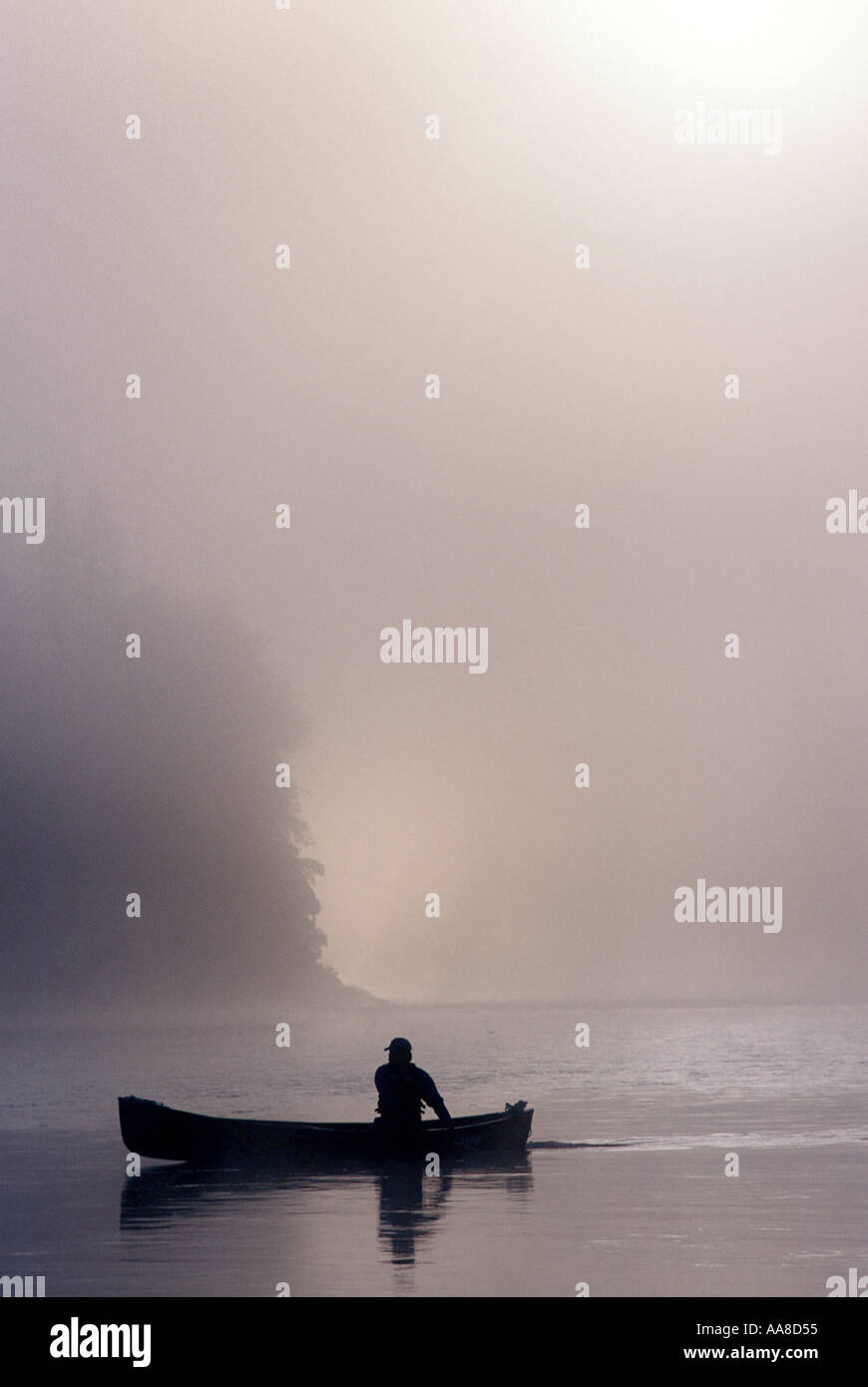 A canoe slips through the fog and mist of a summer morning on the ...