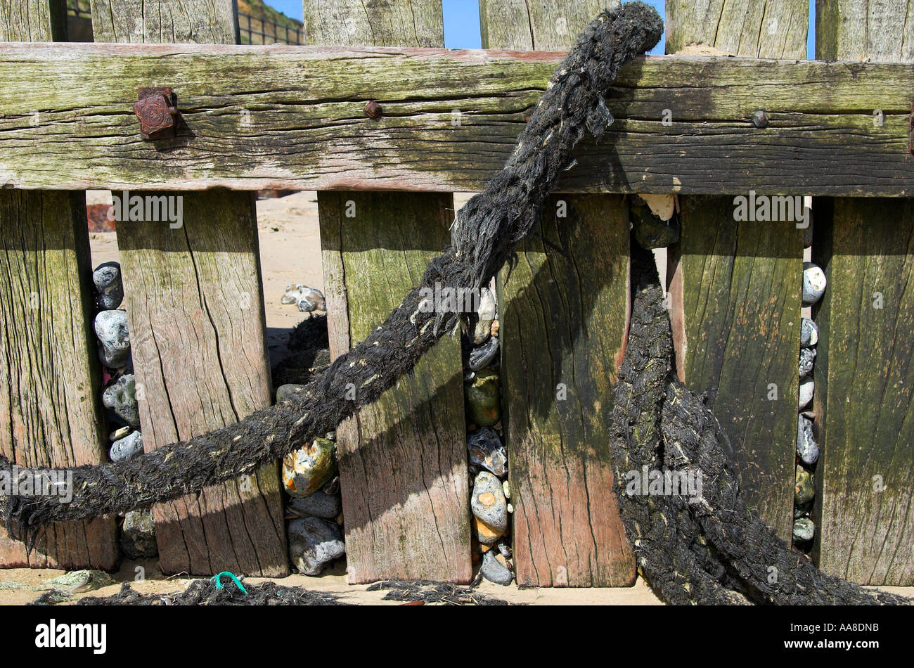 Roper entwined in weathered and eroded timber groynes on Mundesley ...