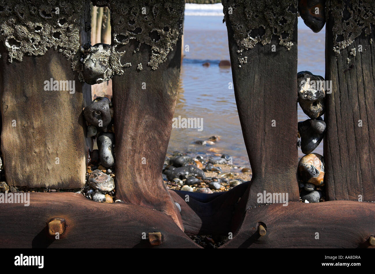 Weathered and eroded timber groynes on Mundesley beach, North Norfolk ...