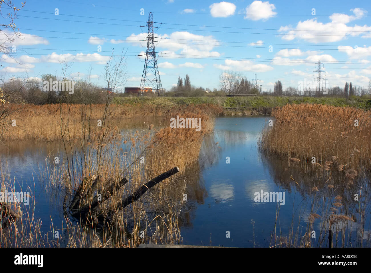 View across the waterworks nature reserve London E17 Stock Photo - Alamy