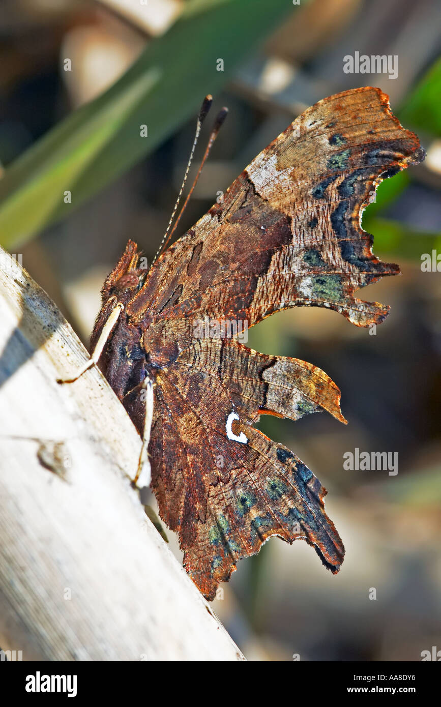 Soide view hi-res stock photography and images - Alamy