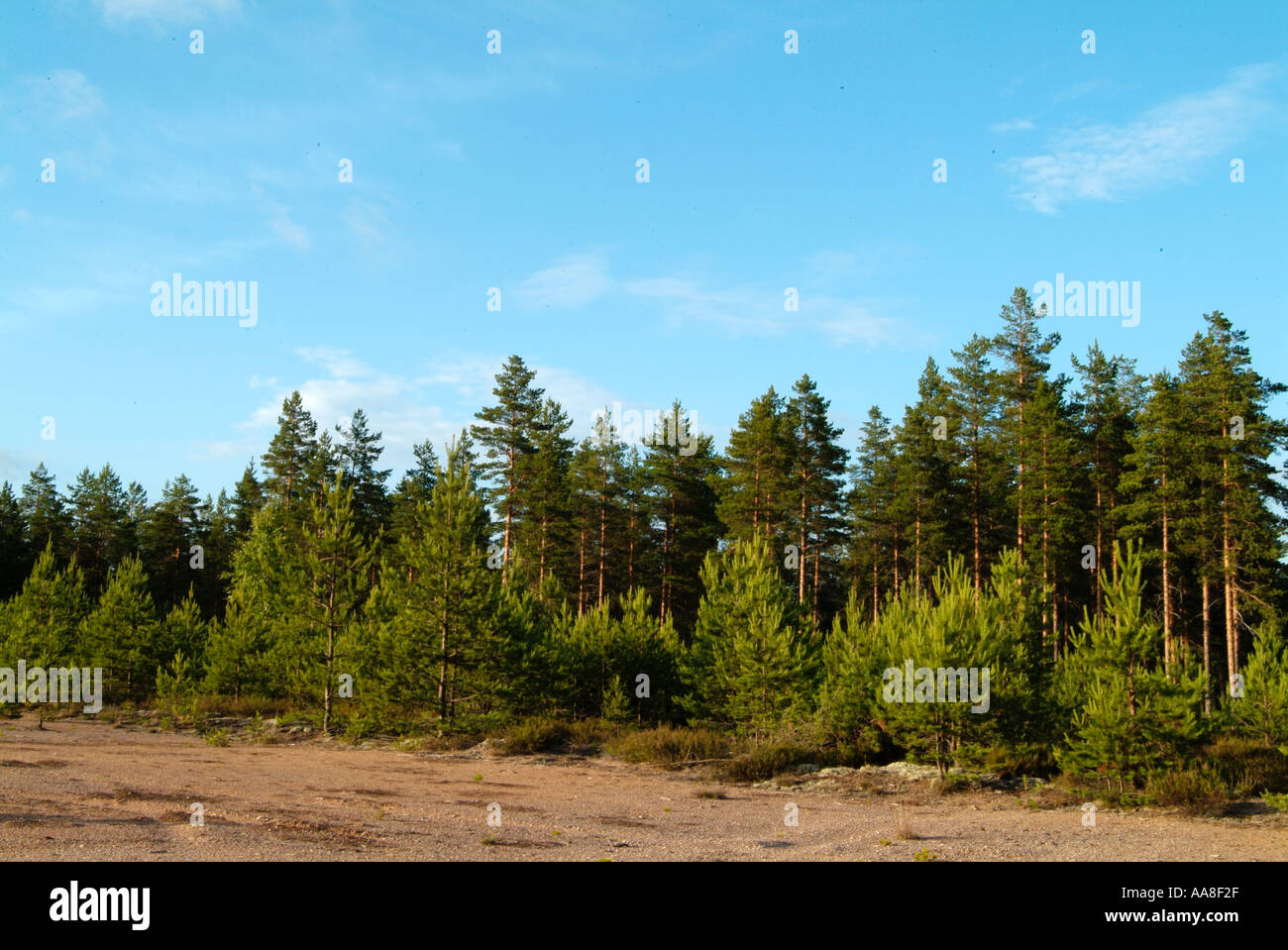 Sweden suomi hi-res stock photography and images - Alamy
