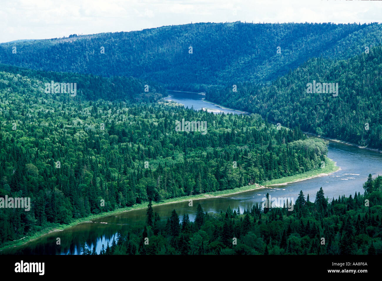 Restigouche river hi-res stock photography and images - Alamy