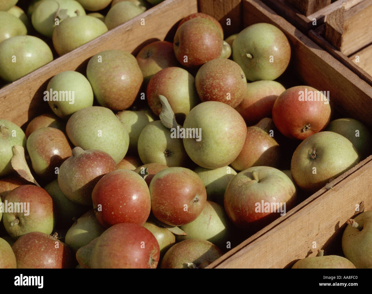 Boxed apple crop hi-res stock photography and images - Alamy