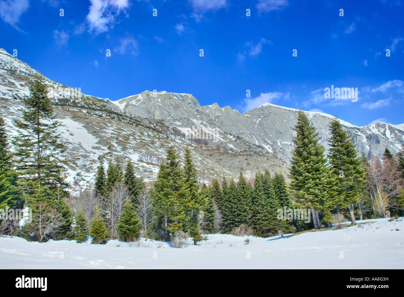 Solunska glava hi-res stock photography and images - Alamy