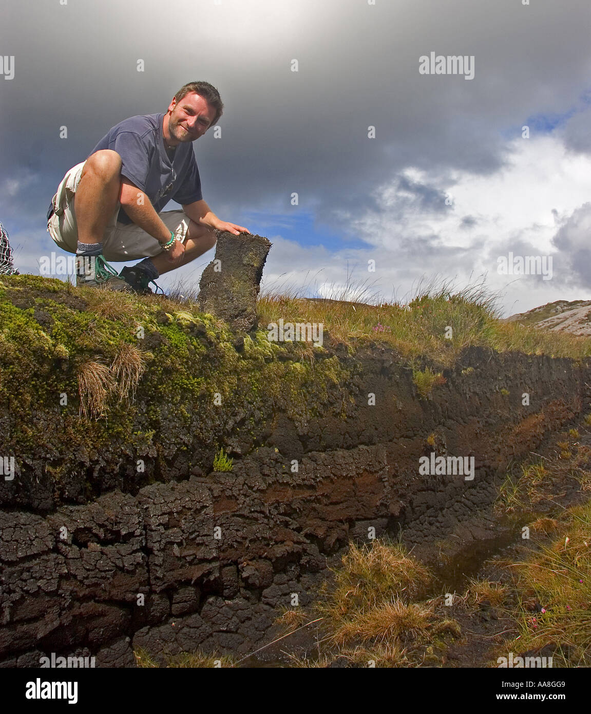 Peat field Scotland United Kingdom Stock Photo - Alamy