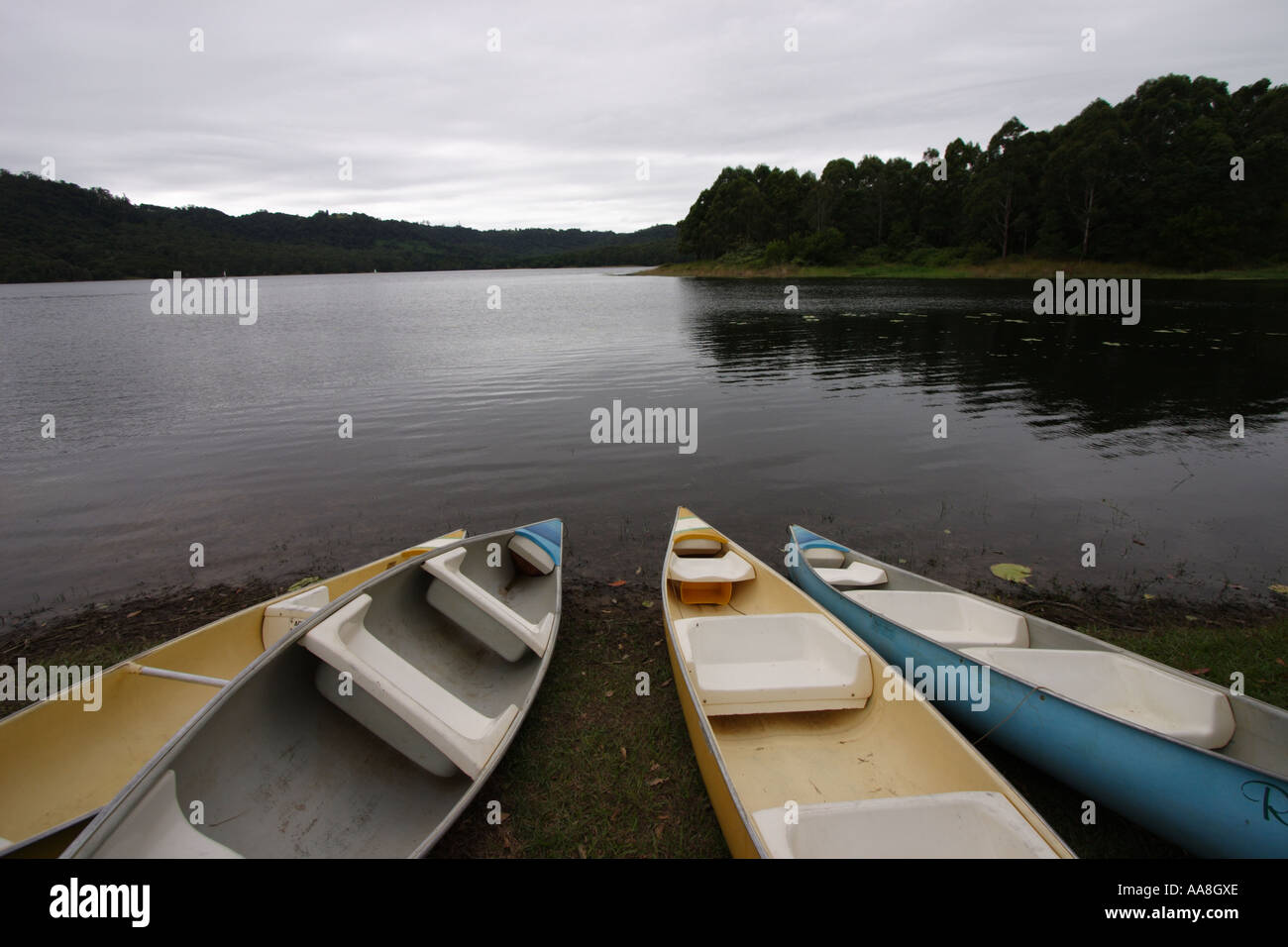 CANOES PULLED UP ON A SHORELINE HORIZONTAL BAPDB7523 Stock Photo - Alamy