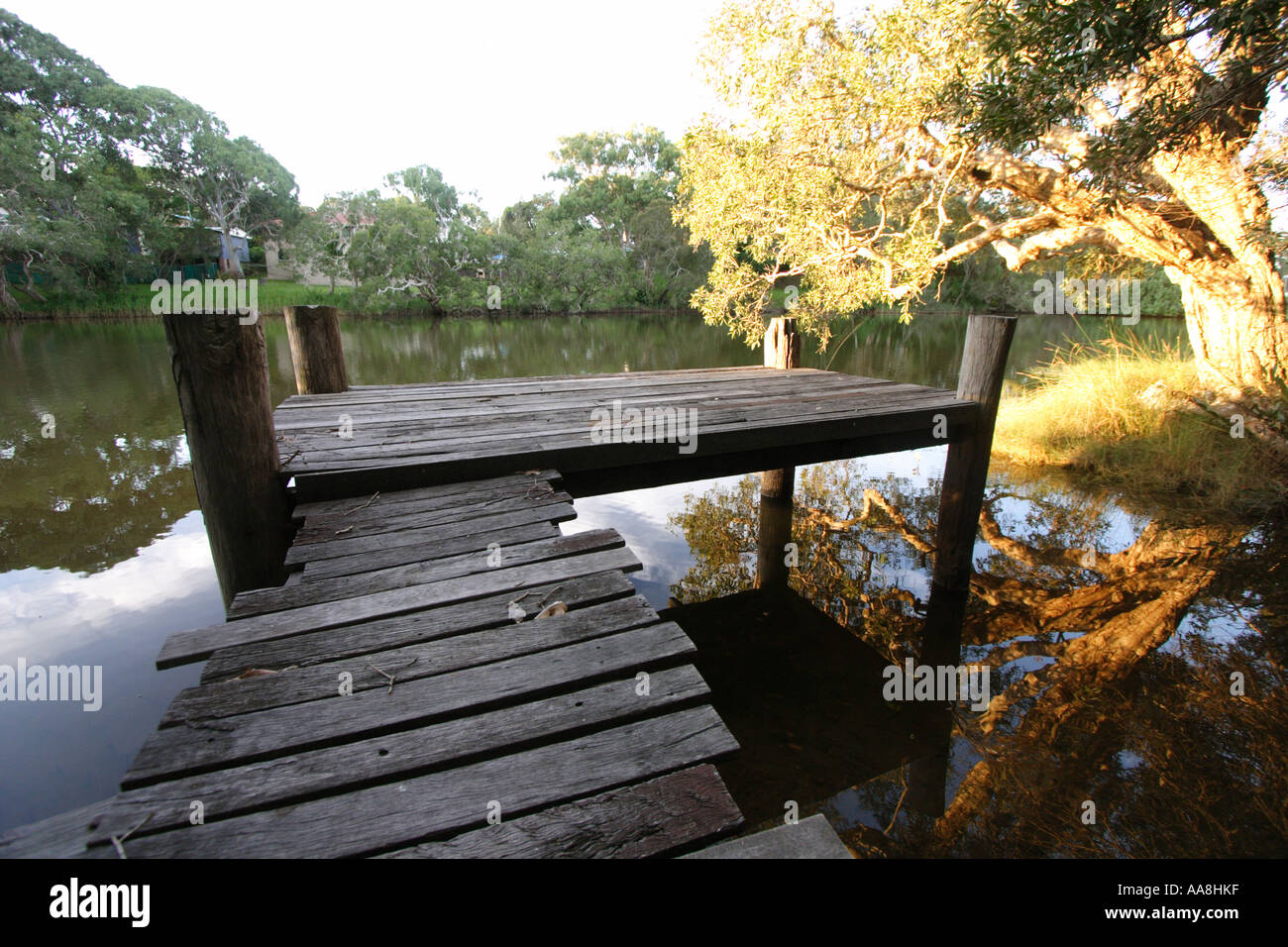 Riverside wetland and lake reflection water grass hi-res stock ...