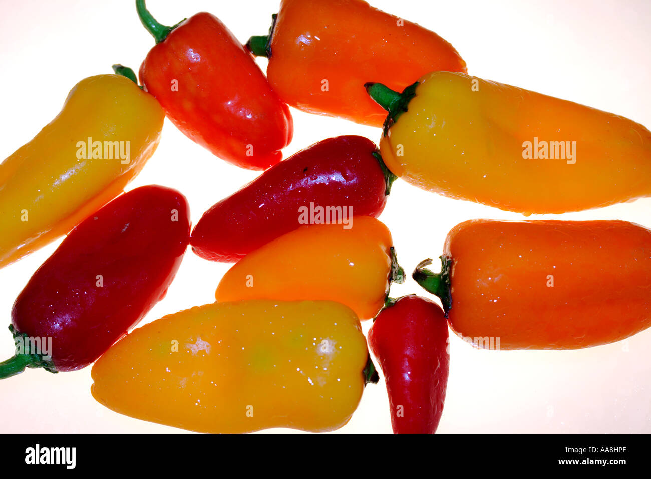 hot and spicy coloured capsicum backlit horizontal BAPDB7325 Stock ...