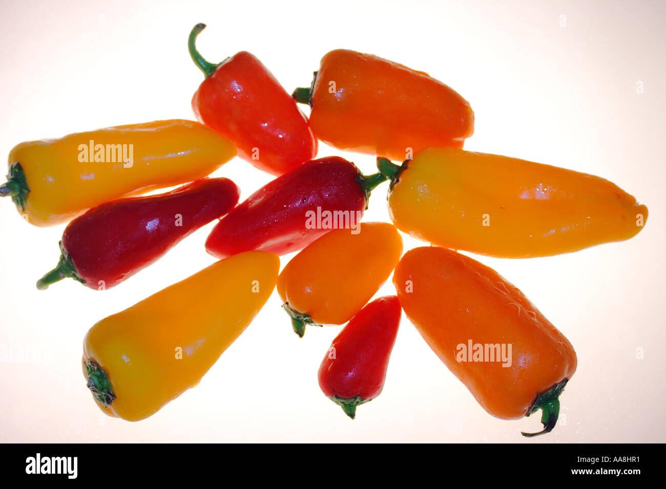 HOT AND SPICY BACKLIT CAPSICUM HORIZONTAL BAPDB7327 Stock Photo - Alamy