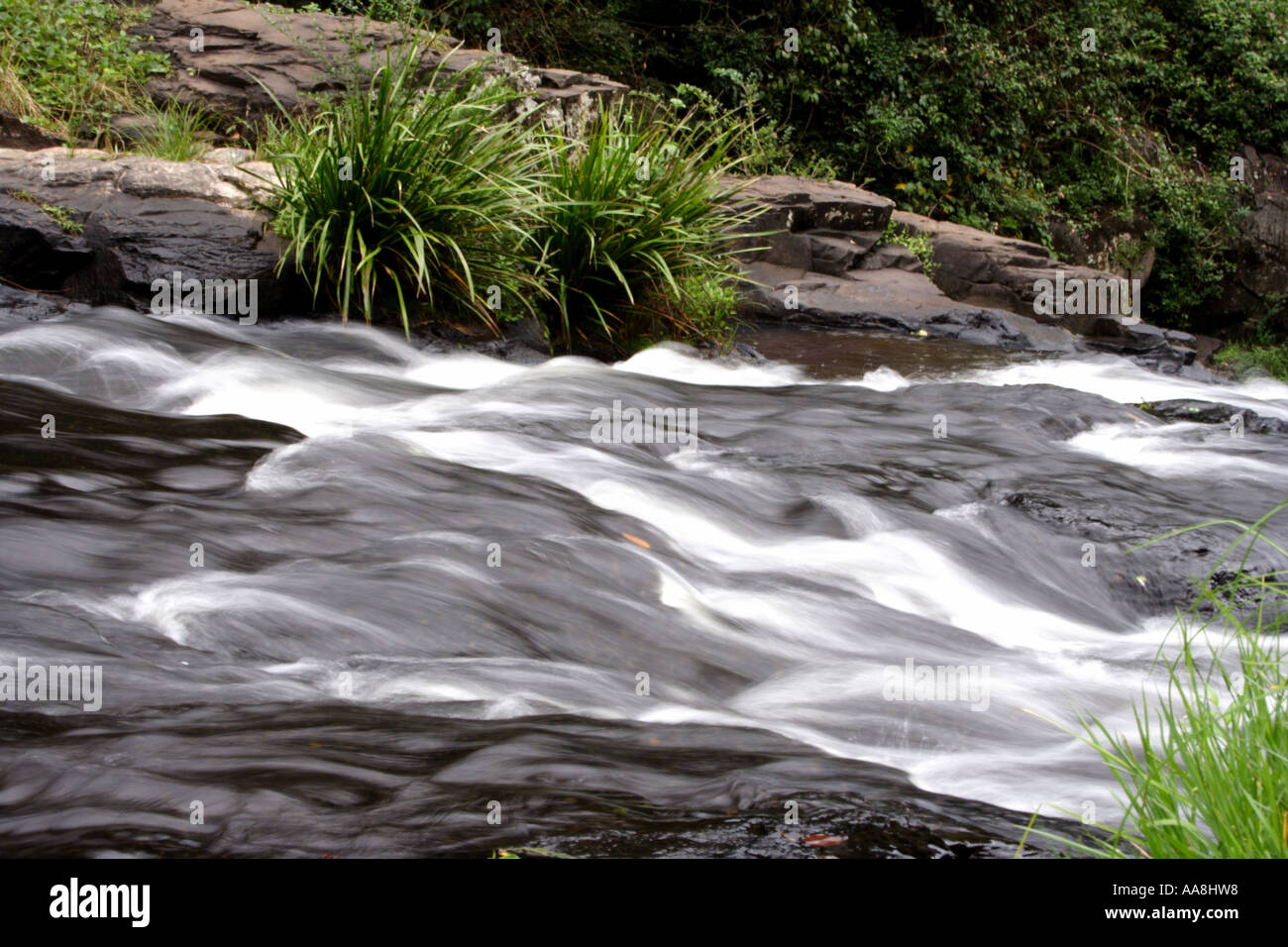 WATER FLOWING RAPIDLY DOWN A RIVER QUEENSLAND AUSTRALIA HORIZONTAL ...