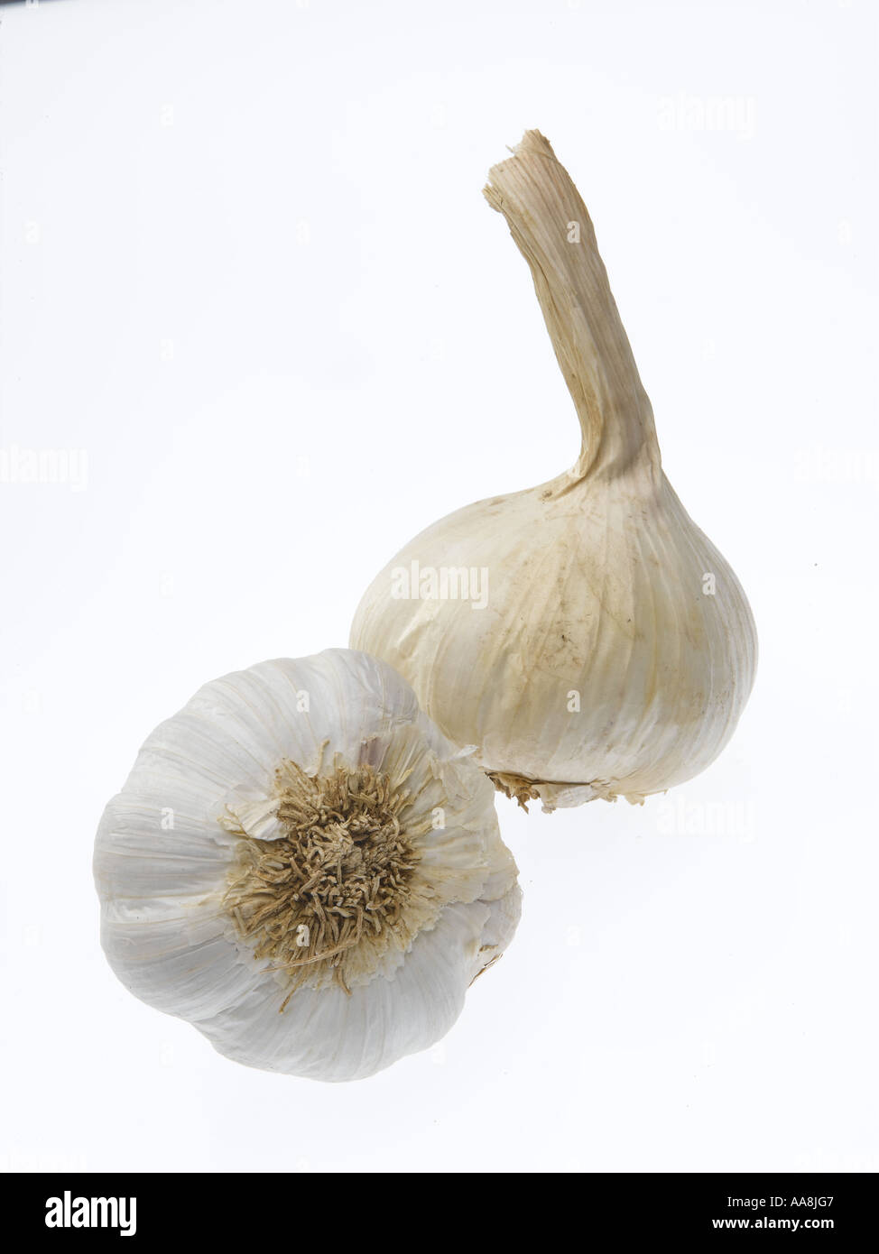 Head of garlic Stock Photo - Alamy