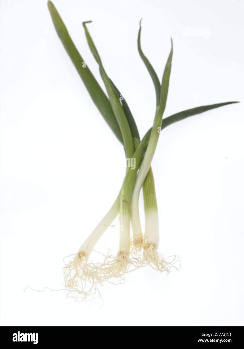 Leeks bunch studio hi-res stock photography and images - Alamy