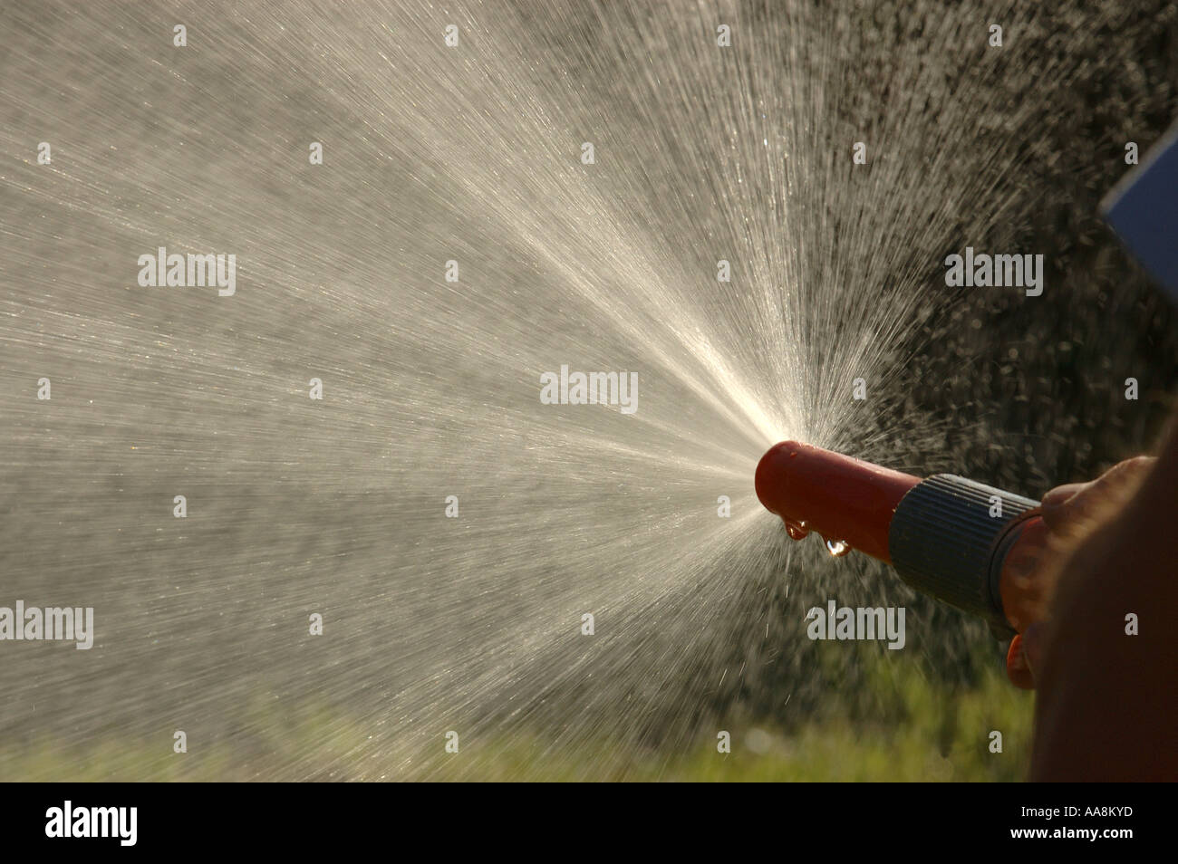 A hosepipe being used in a garden Picture by Andrew Hasson April 22nd ...