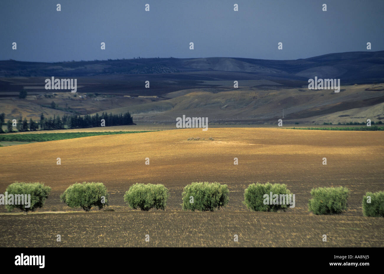 Ouezzane Fes Morocco Stock Photo - Alamy
