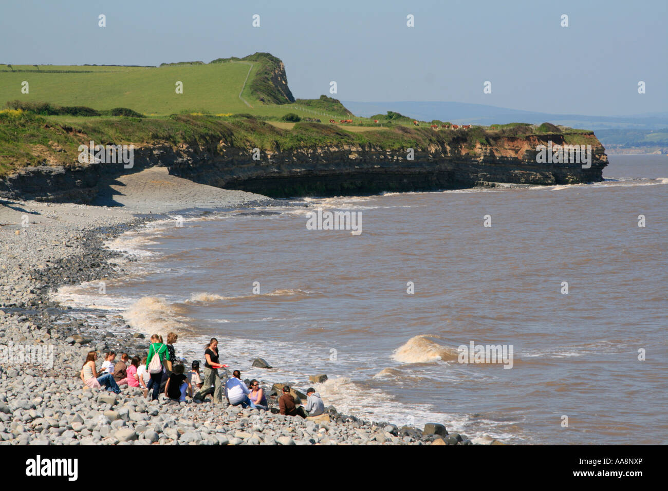 kilve beach bristol estuary west somerset coast england uk gb Stock ...