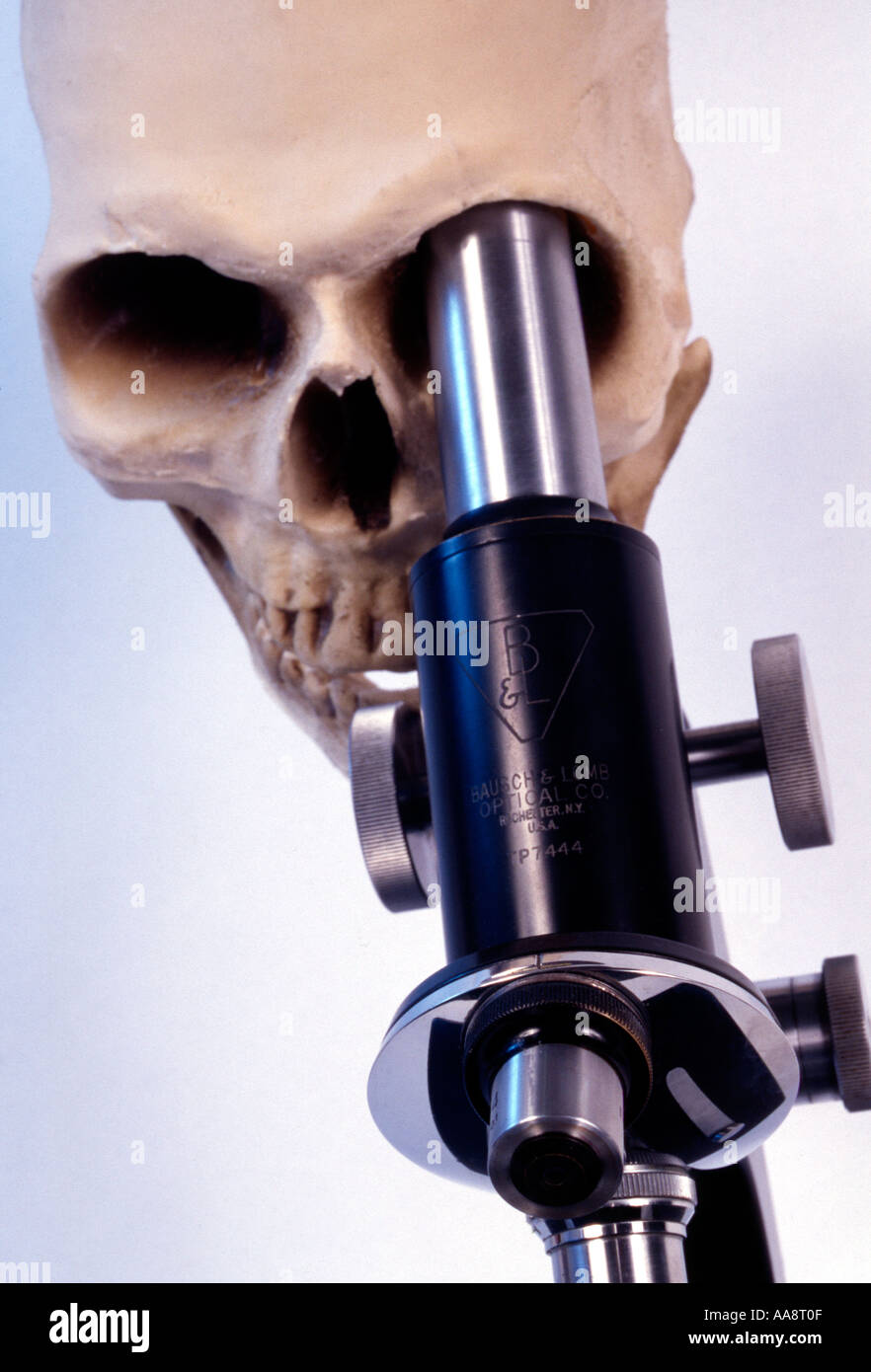 Skull looking through a microscope Stock Photo - Alamy
