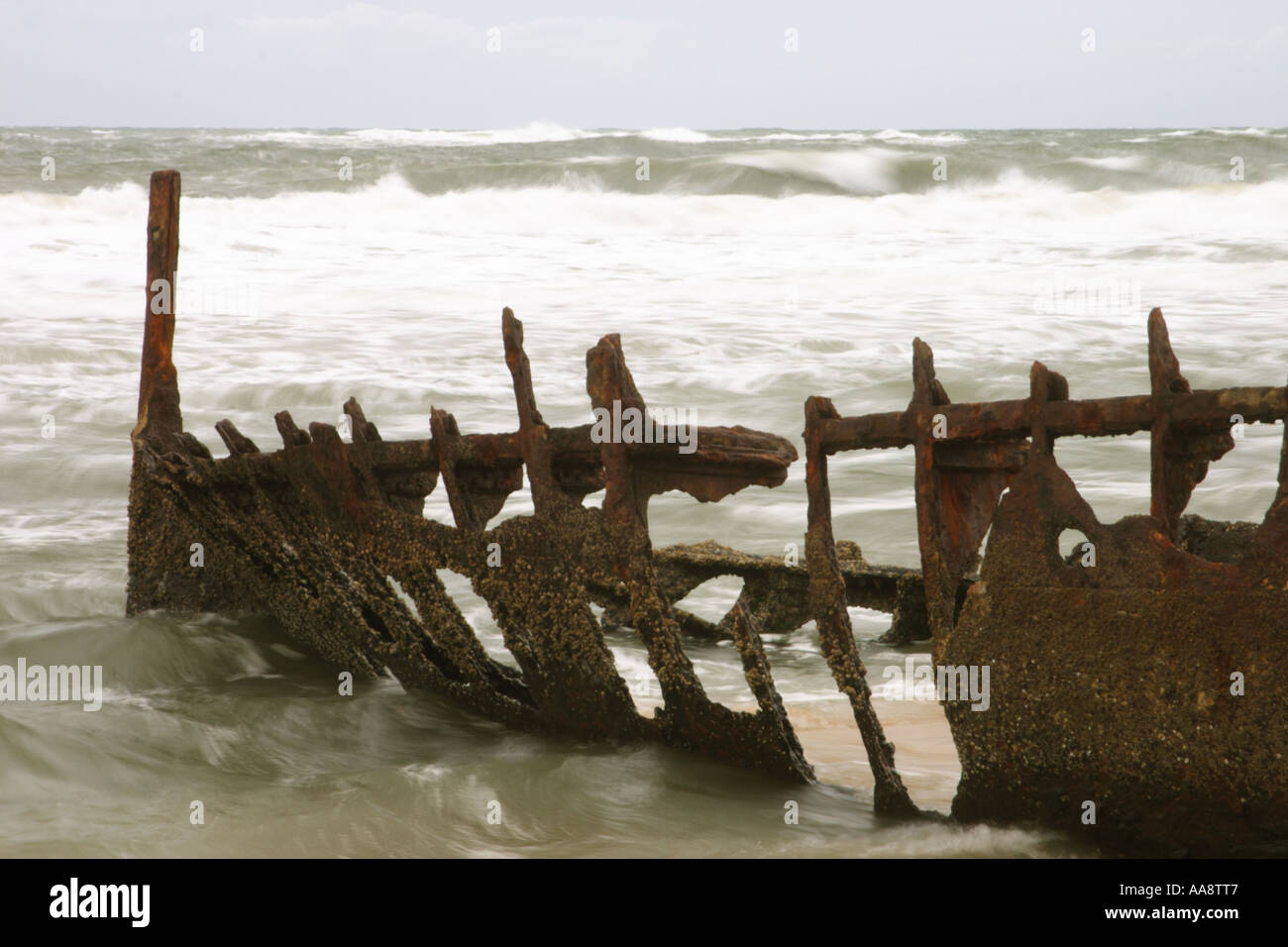 WRECK OF THE SS DICKY SUNSHINE COAST QUEENSLAND AUSTRALIA HORIZONTAL ...