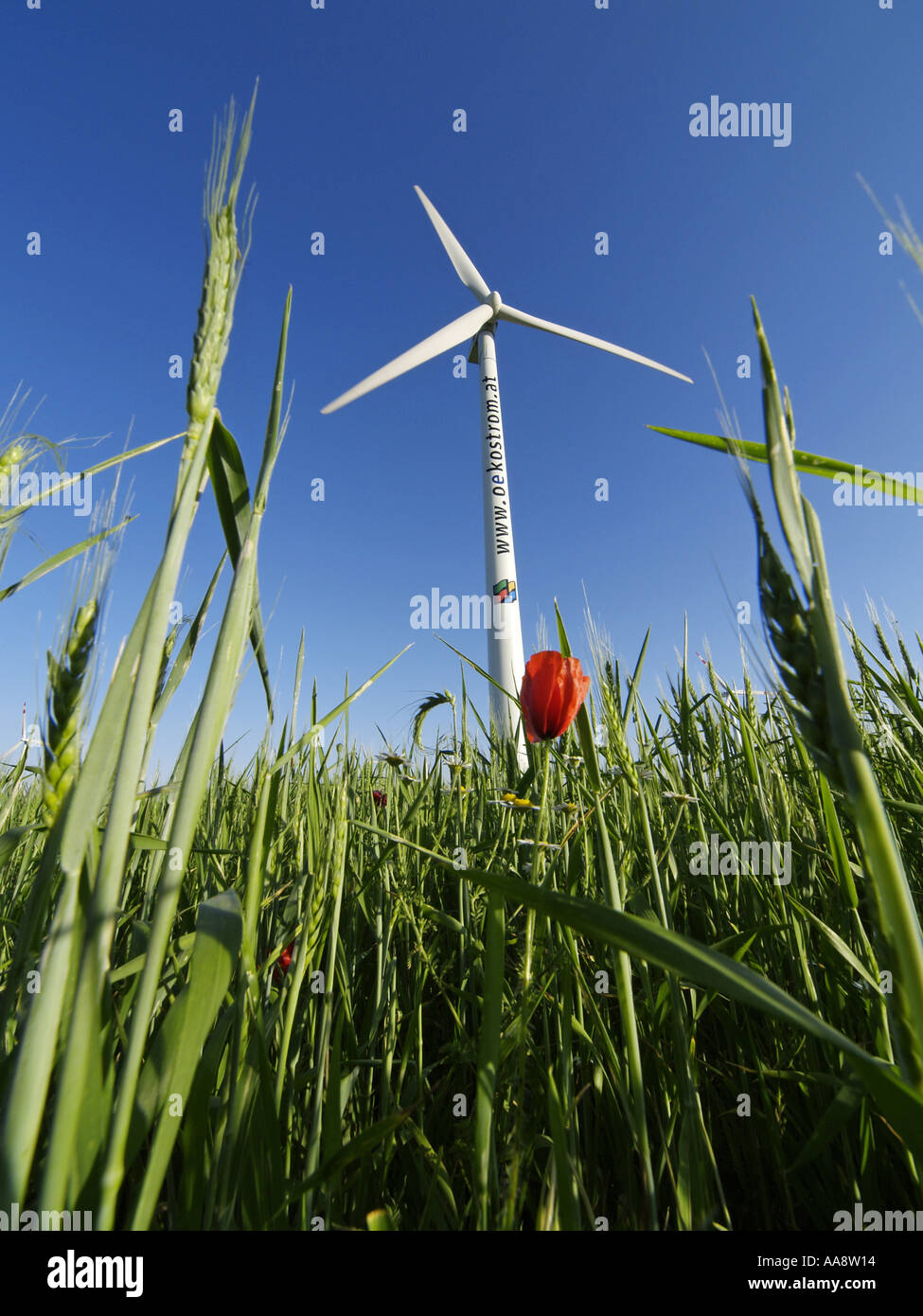 windpark Parndorf, Austria, wind wheel, red corn poppy Stock Photo - Alamy