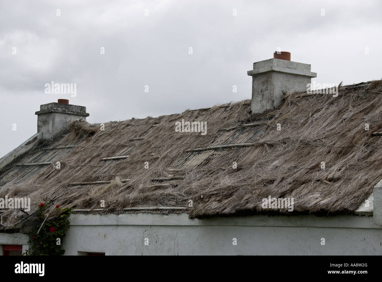 Old thatched roof on cottage Stock Photo - Alamy