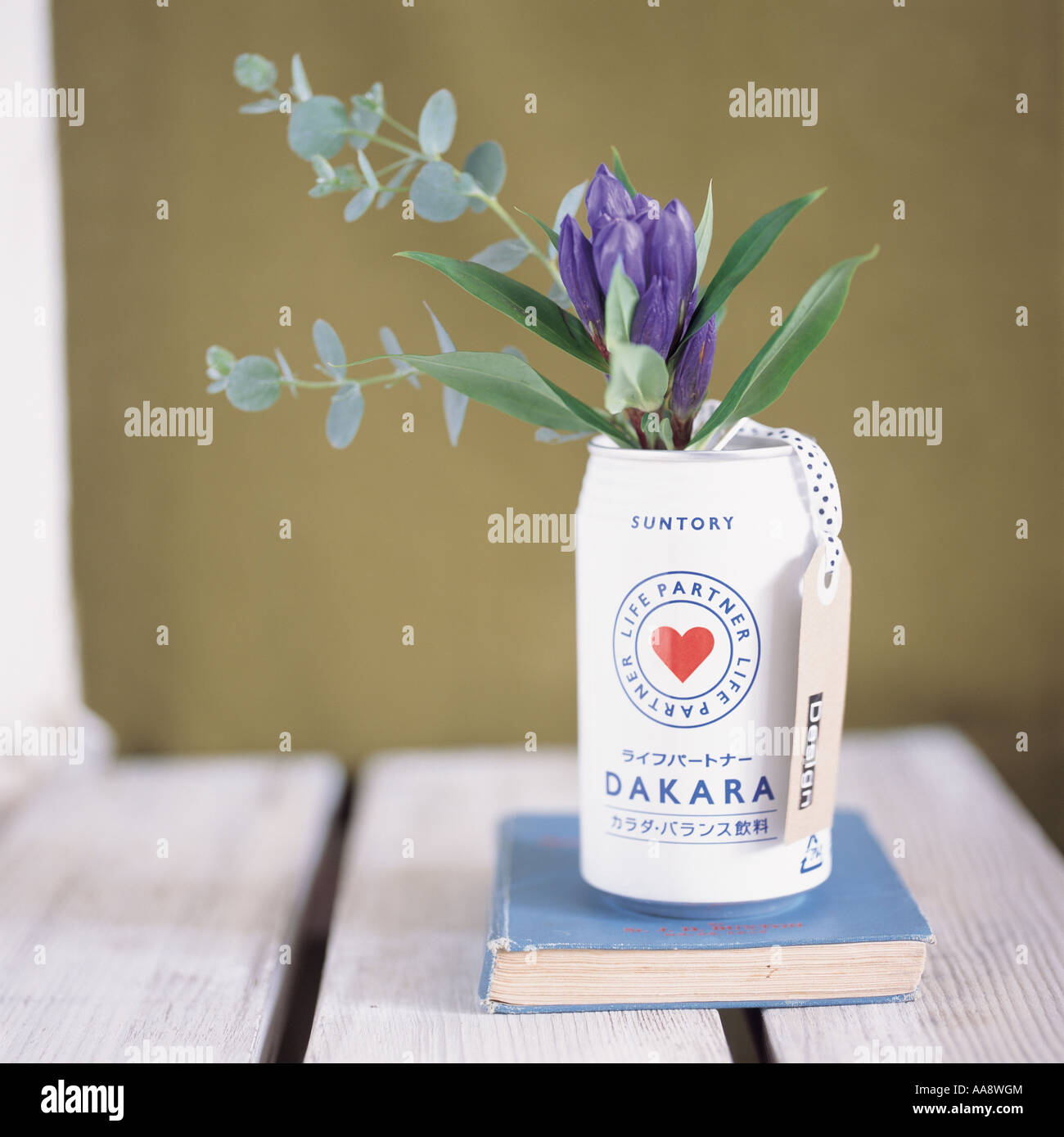 flower in a can Stock Photo - Alamy