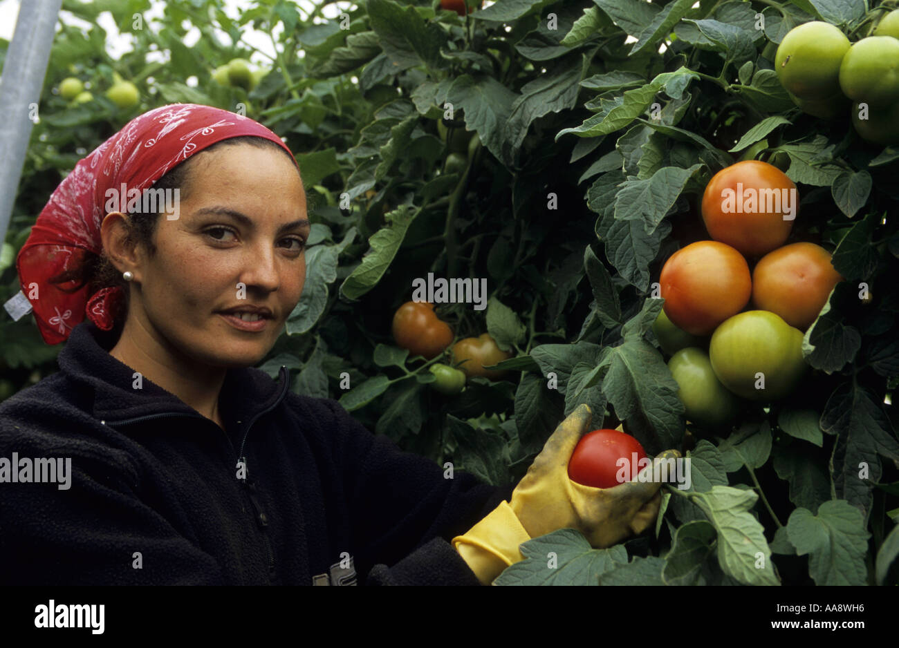 Gran tarajal fuerteventura island canary hi-res stock photography and ...
