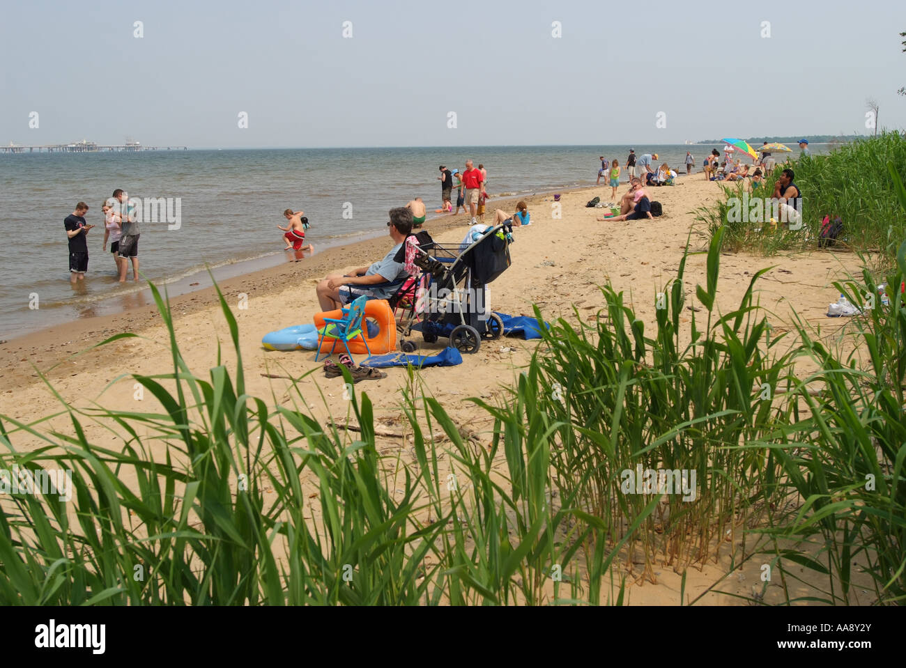 USA Maryland Calvert Cliffs State Park families look for fossils and ...