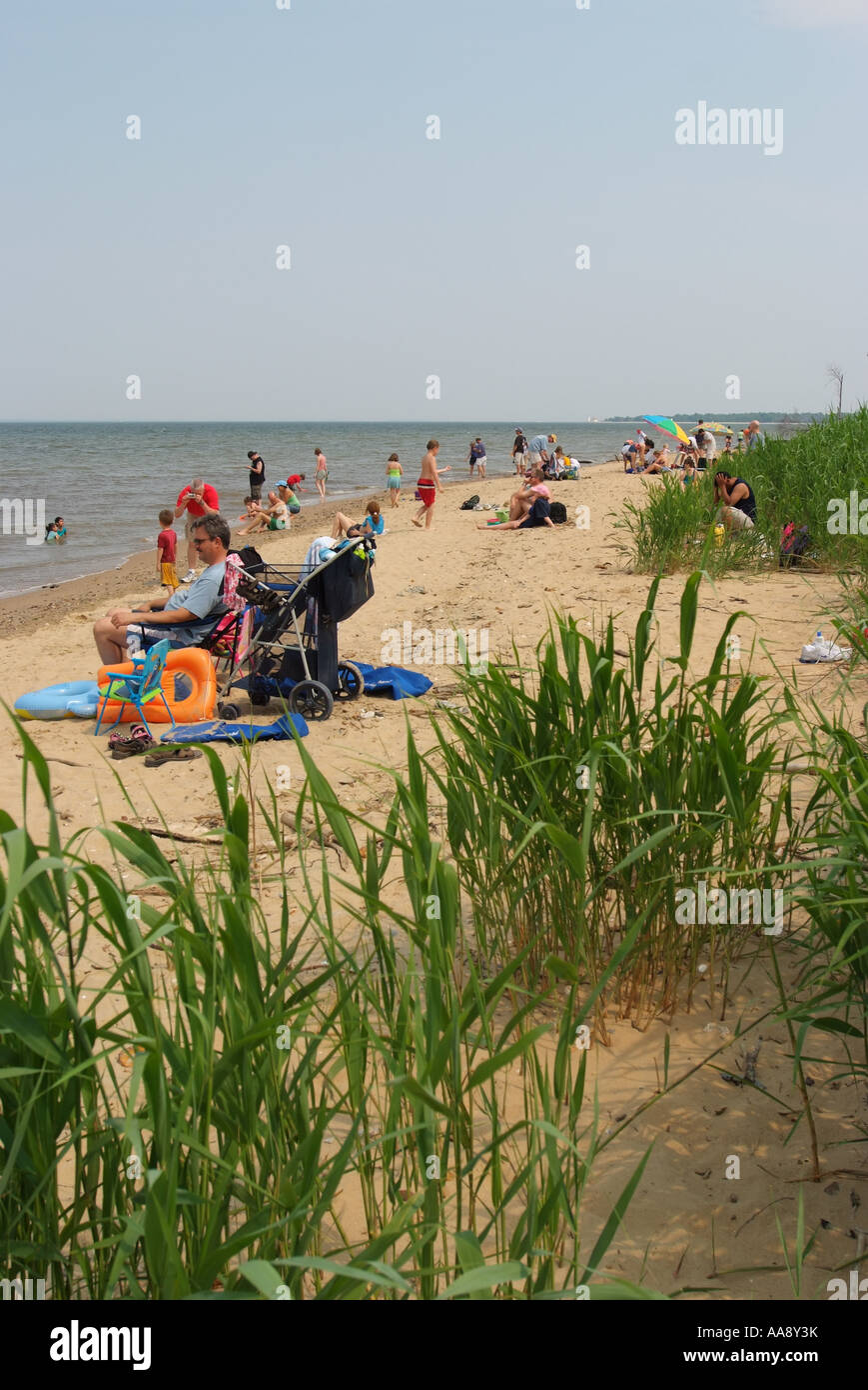 USA Maryland Calvert Cliffs State Park families look for fossils and ...