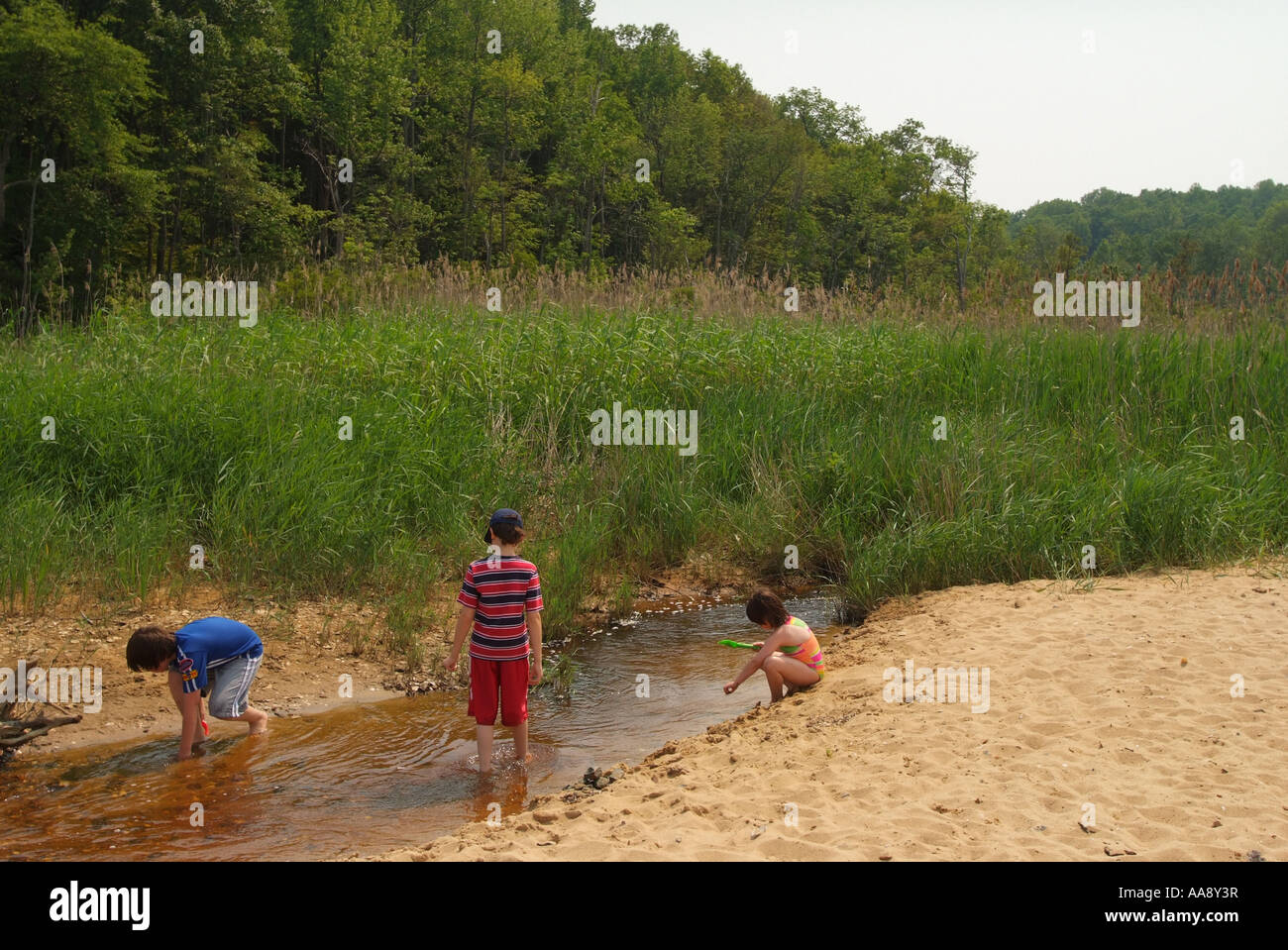 USA Maryland Calvert Cliffs State Park kids looking for fossils in a ...