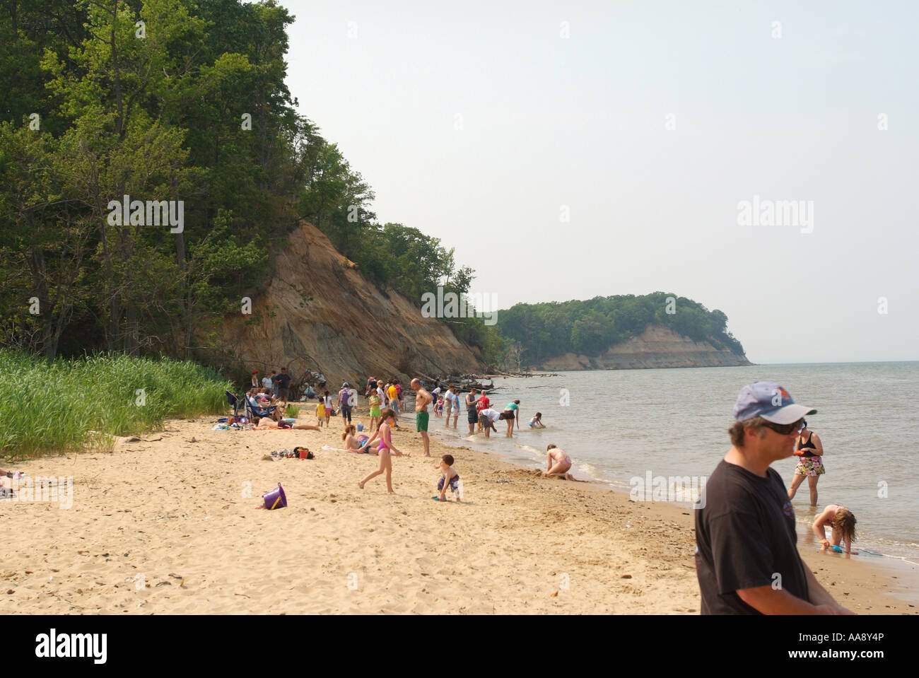 USA Maryland Calvert Cliffs State Park families look for fossils and ...