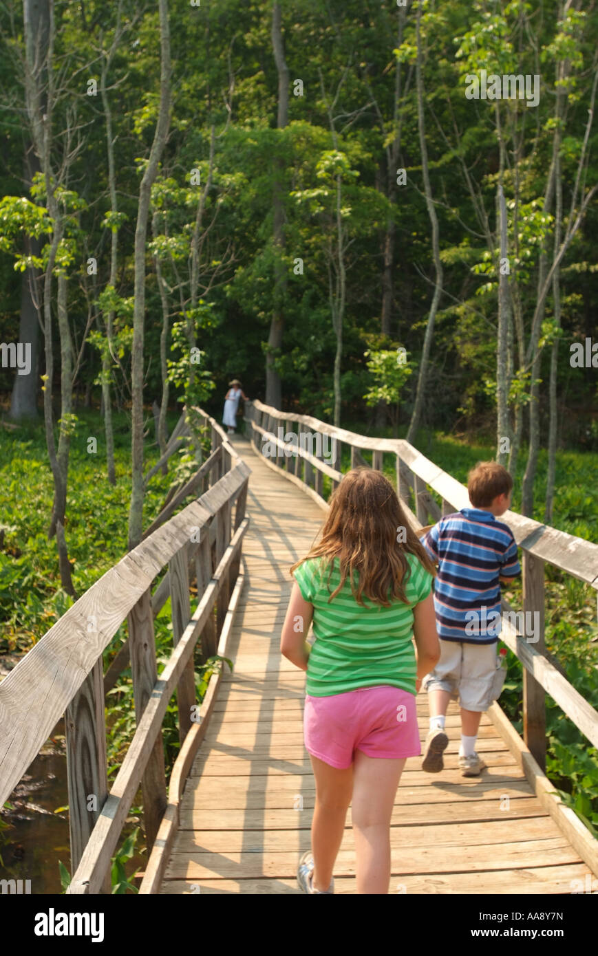 USA Maryland Calvert Cliffs State Park kids walk along a boardwalk path ...
