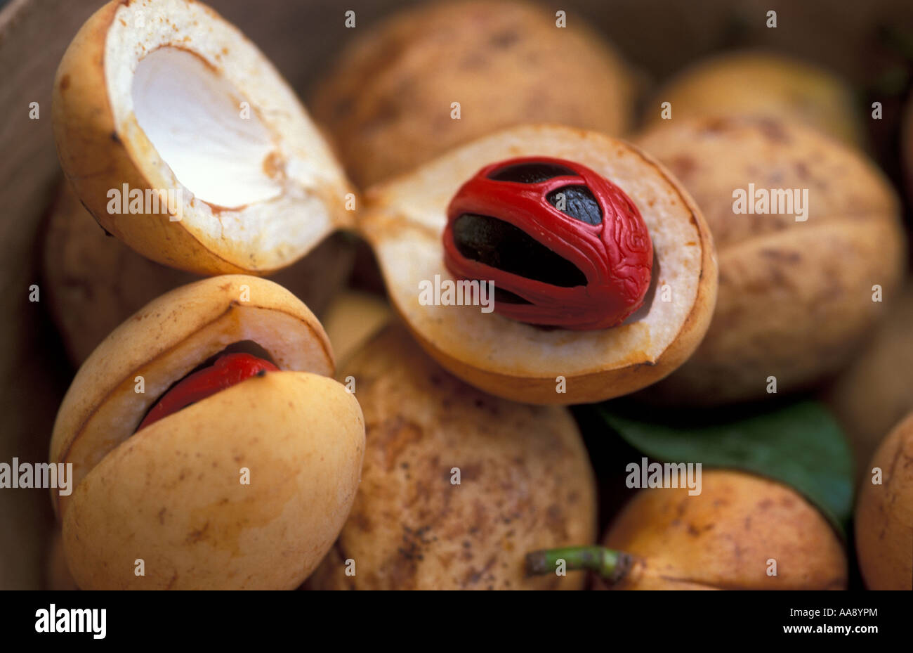 Grenada spice market hi-res stock photography and images - Alamy