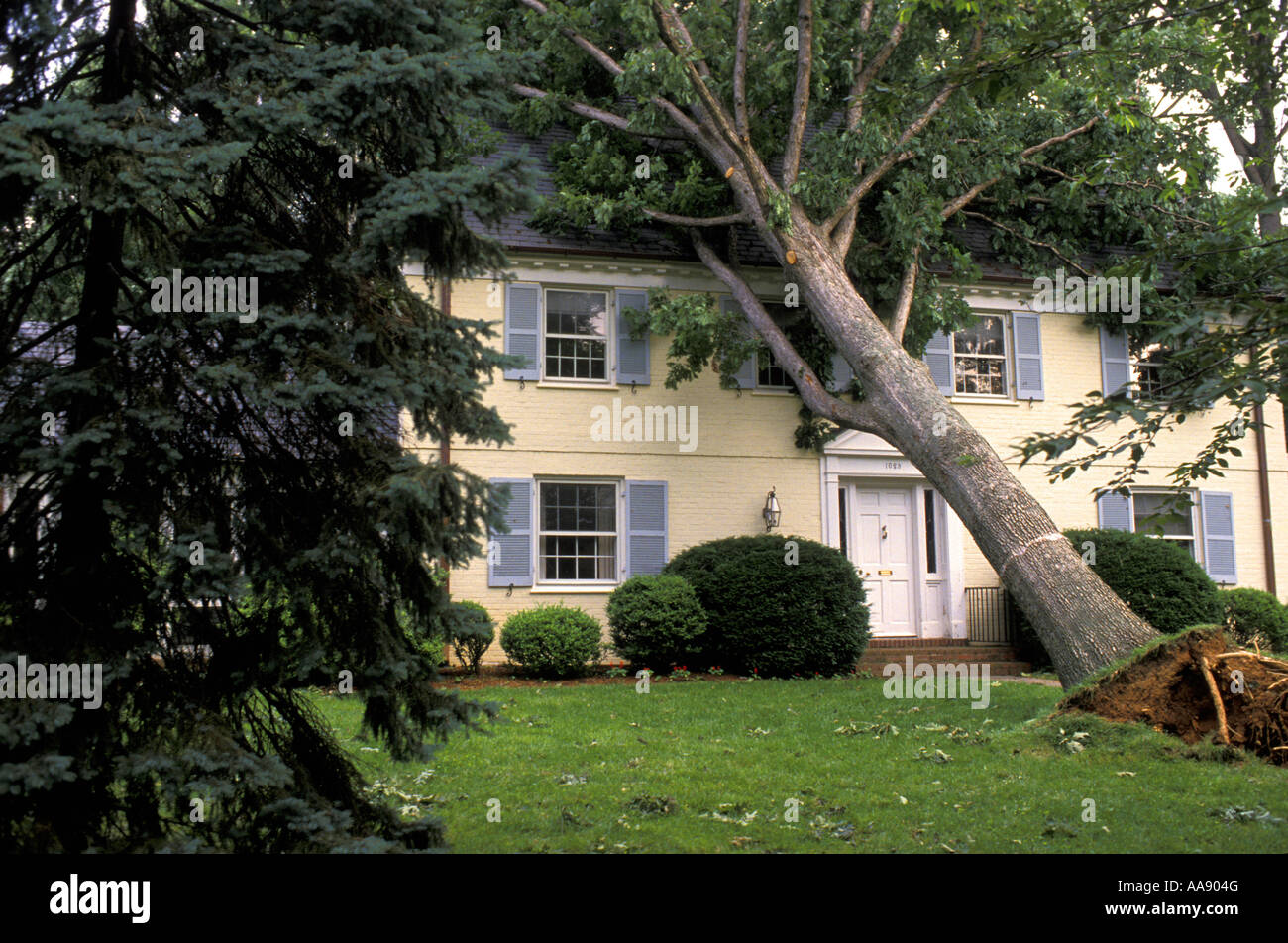 A tree falls on a home after a powerful Summer storm Maryland USA Stock ...