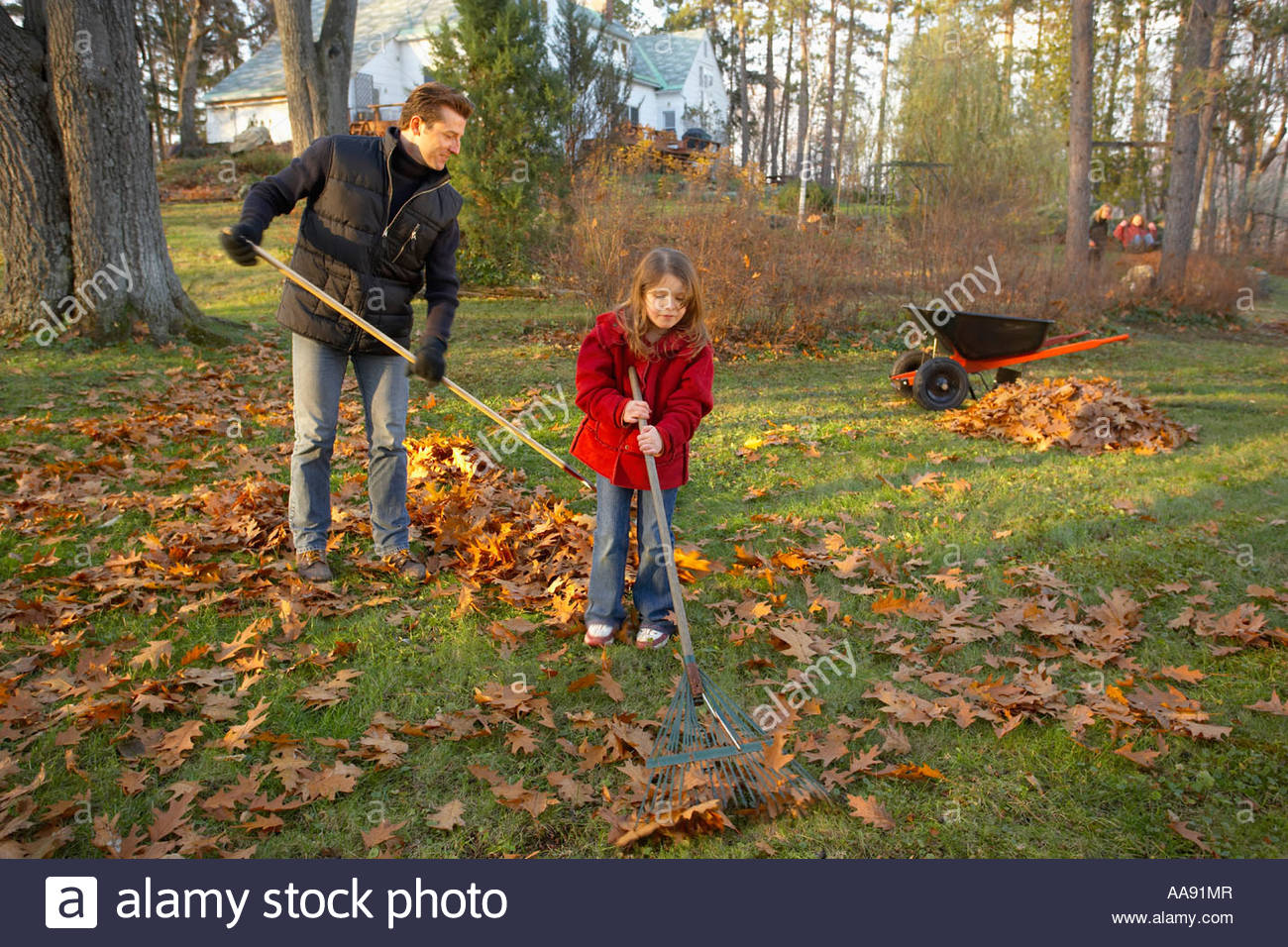 Raking Leaves Family Stock Photos & Raking Leaves Family Stock Images ...