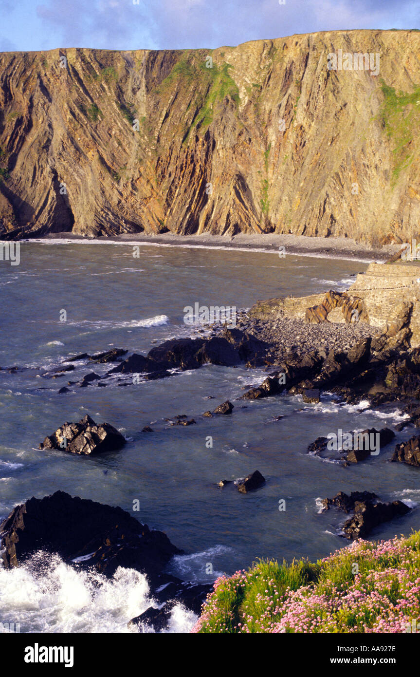 Cliff Hartland quay north Devon England intensely folded strata Stock ...