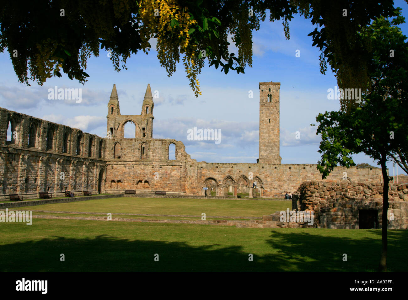 st andrews cathedral historic ruins fife scotland uk gb Stock Photo - Alamy